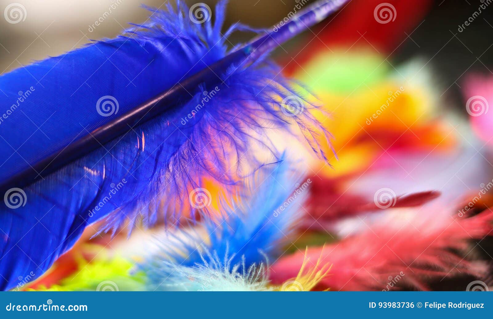 Painted Feathers stock photo. Image of peace, feather - 93983736