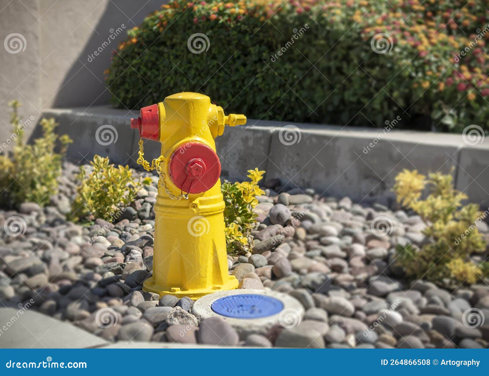 Painted Fire hydrant stock photo. Image of street, color - 264866508