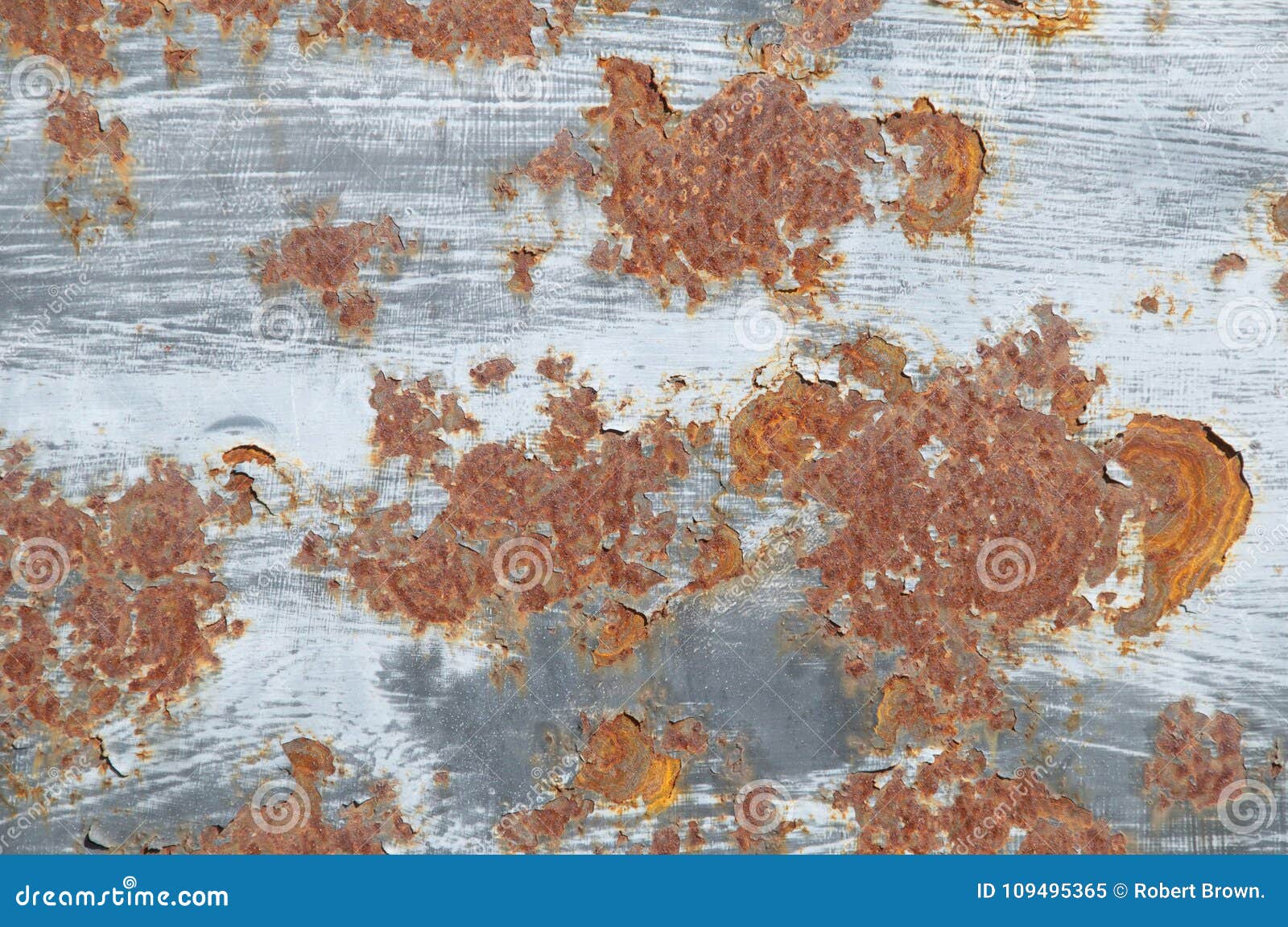 A Painted Flaking Rusty Gate. Background. Stock Image - Image of ...