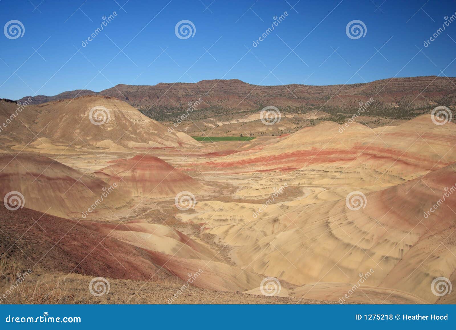 Painted Hills Desert stock photo. Image of sage, desert - 1275218