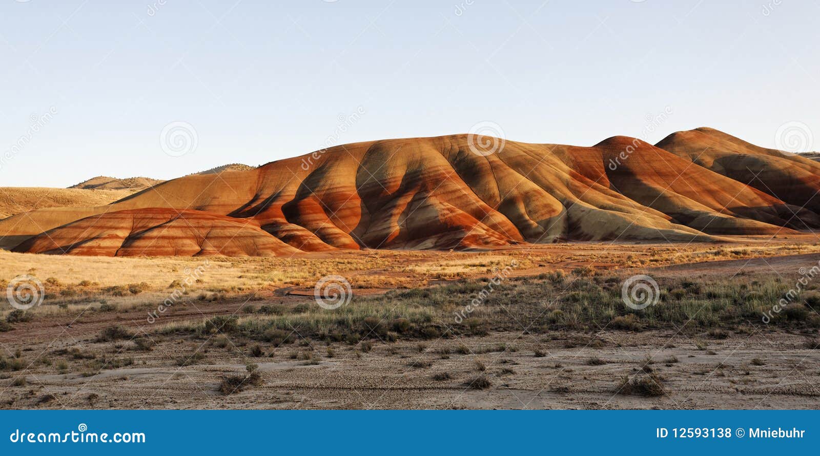 Painted Hills in a High Desert Landscape Stock Photo - Image of plants ...