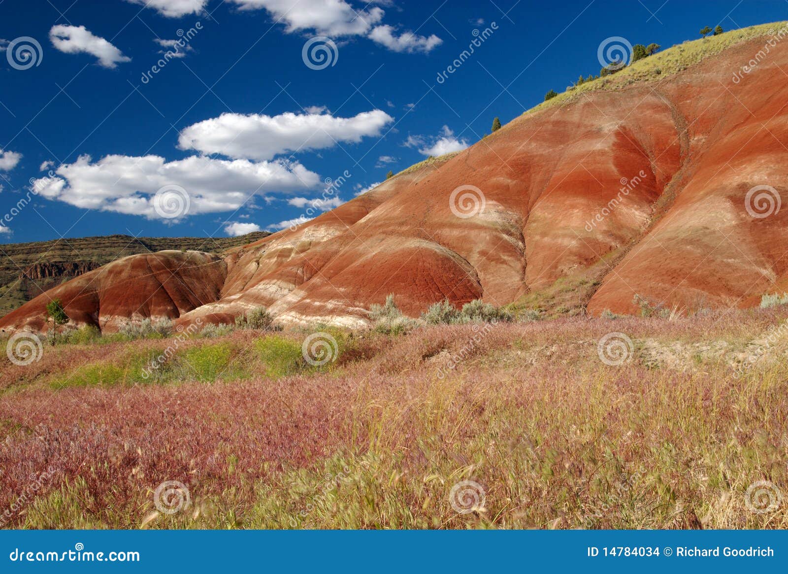 Painted Hills, Mitchell, Oregon Stock Photo - Image of tranquil, blue ...