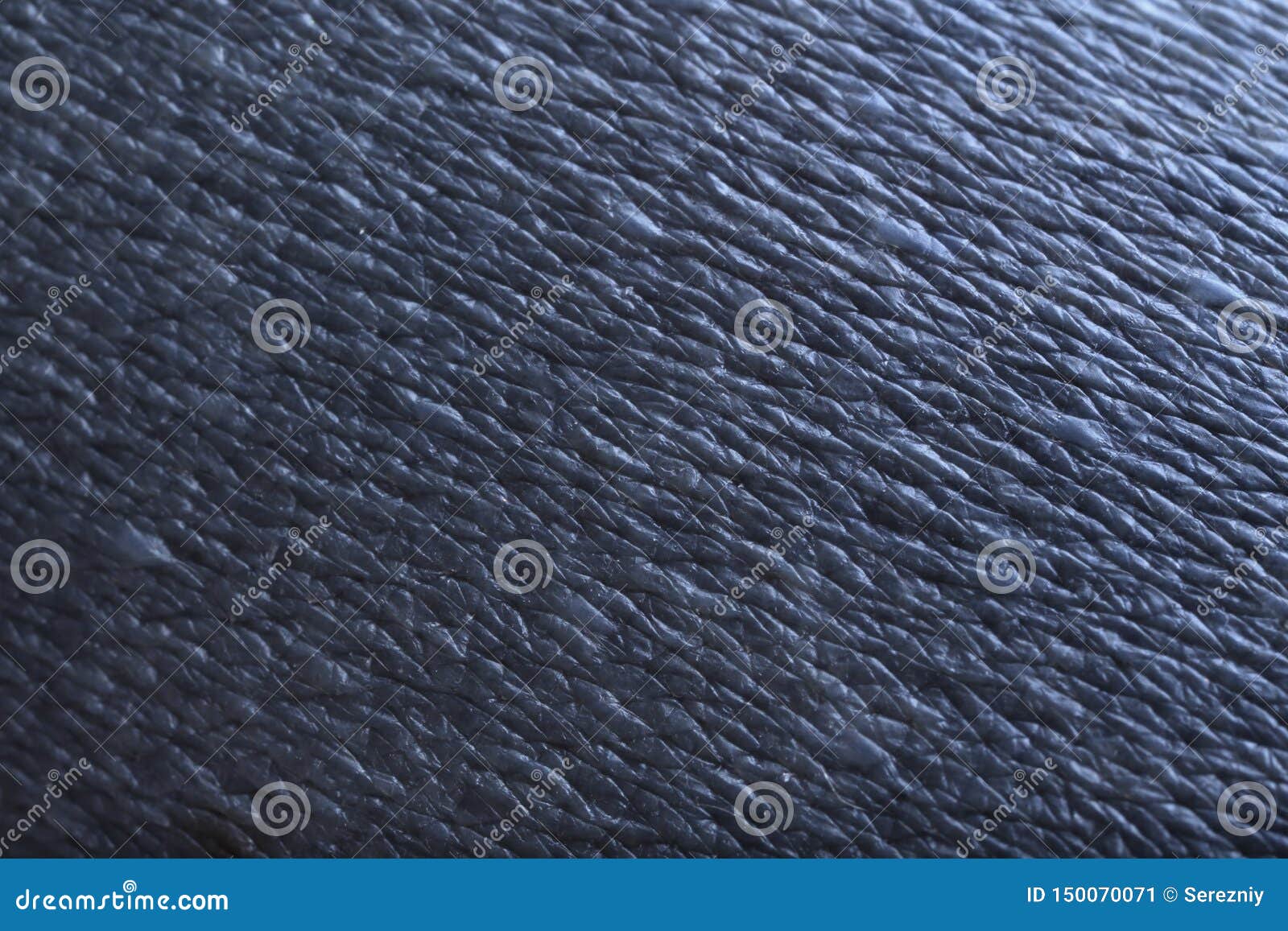 Painted Human Skin, Closeup Stock Image - Image of closeup, body: 150070071