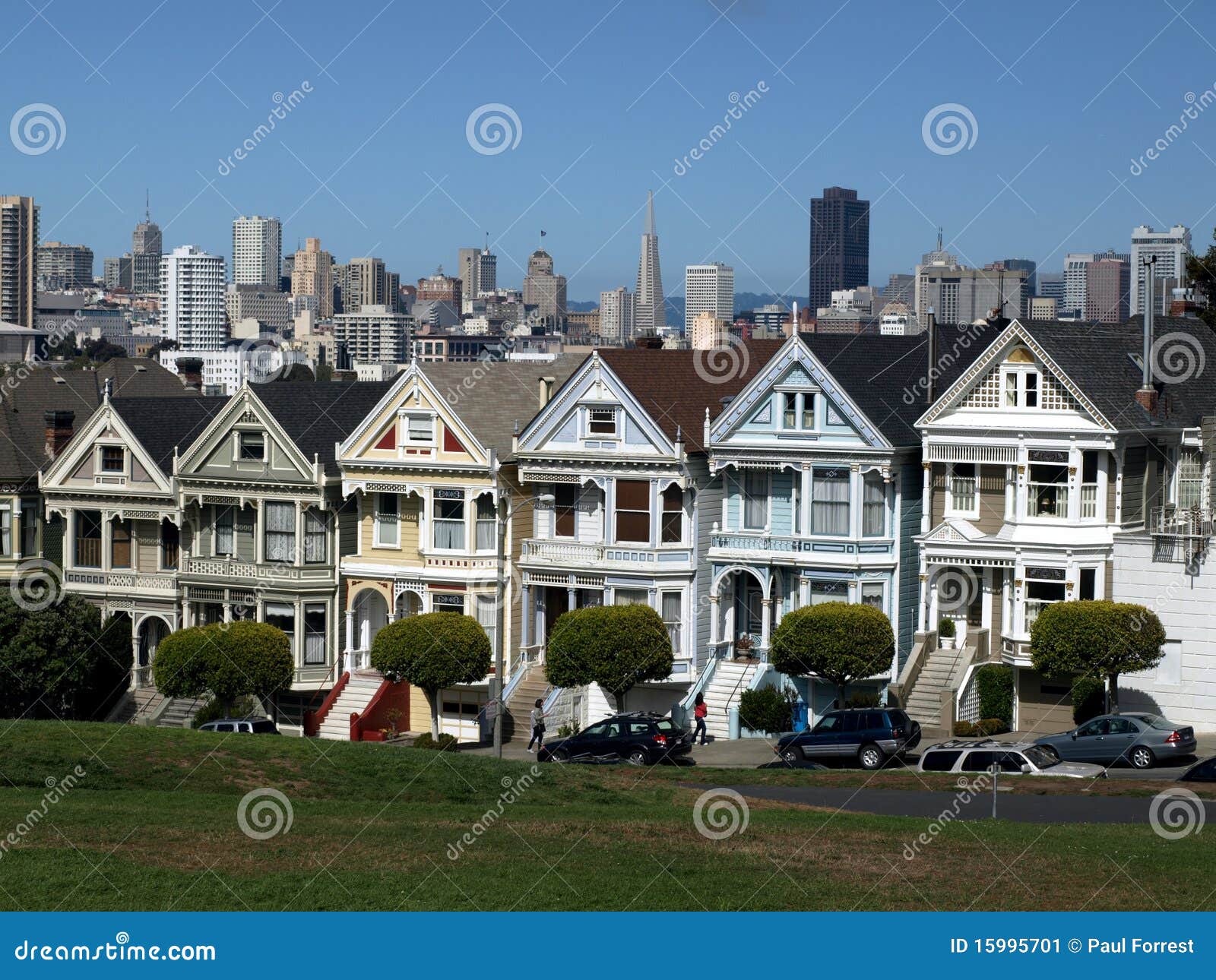 Painted Ladies