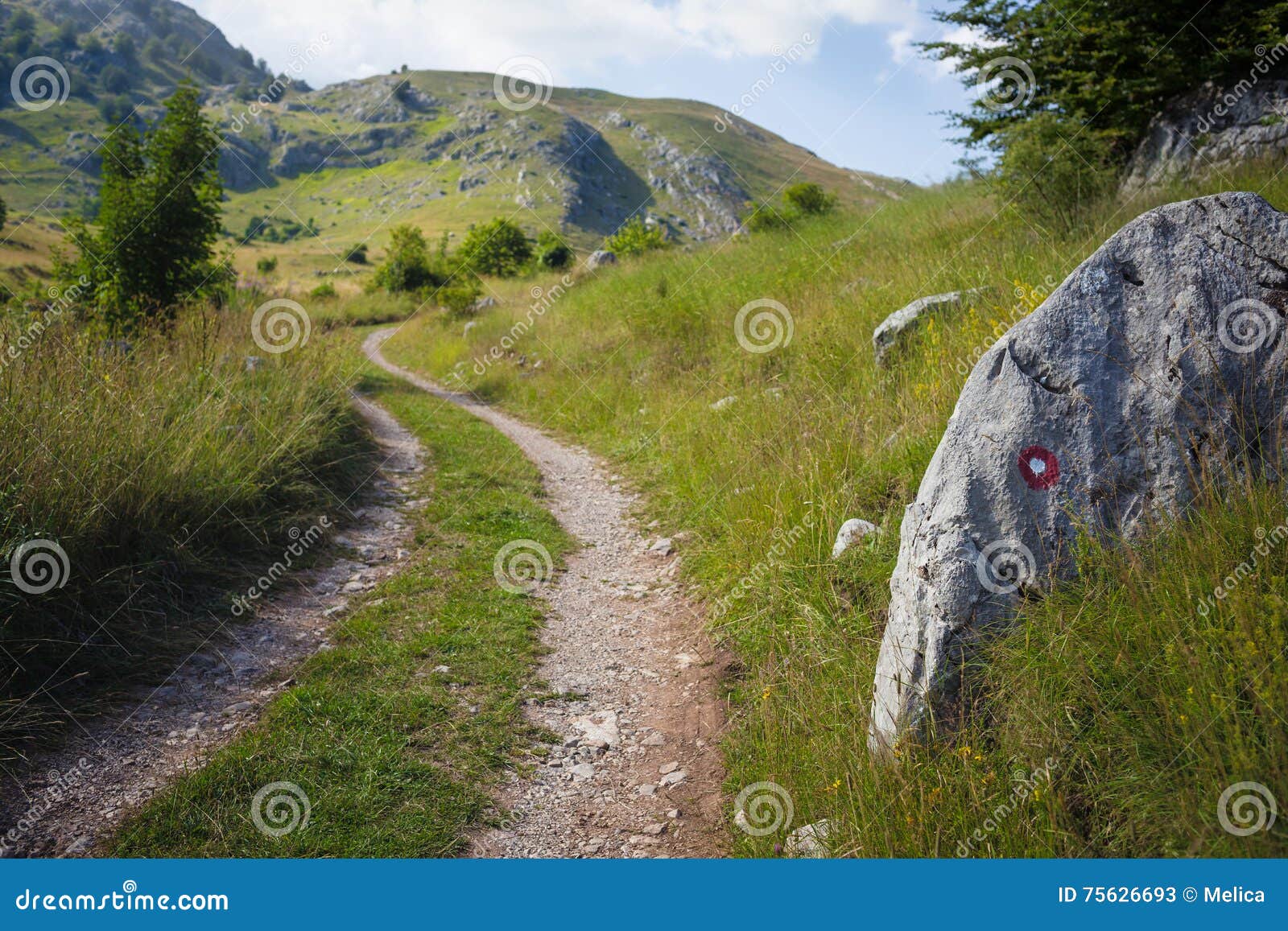 Painted Marks on a Nature Trail Stock Image - Image of alpine, guide ...