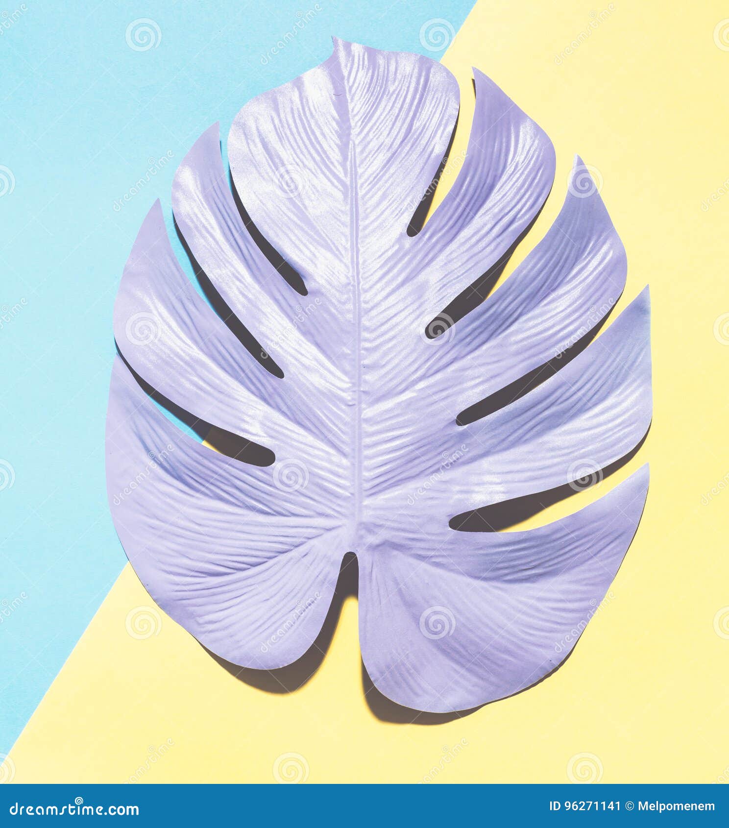 Painted Monstera Leaf with Hard Shadow Stock Image - Image of overhead ...