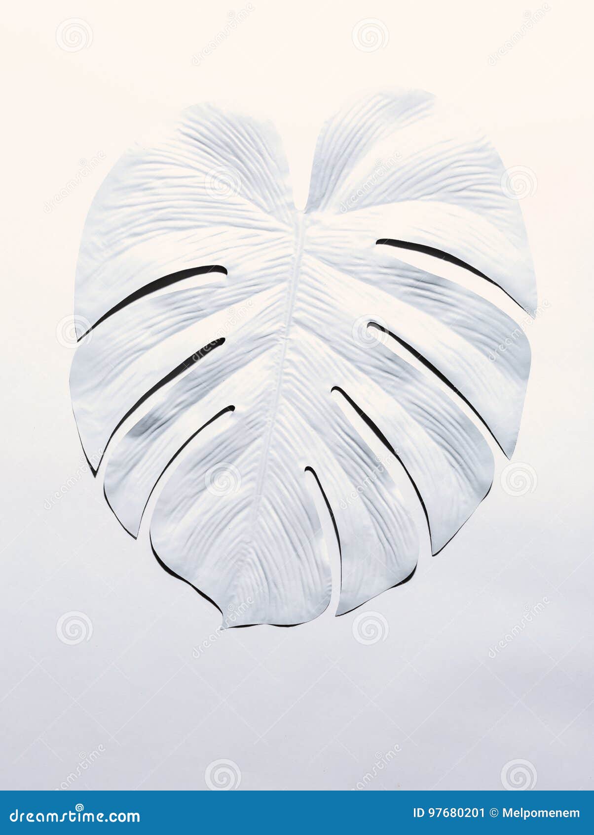 Painted Monstera Leaf with Hard Shadow Stock Image - Image of paint ...