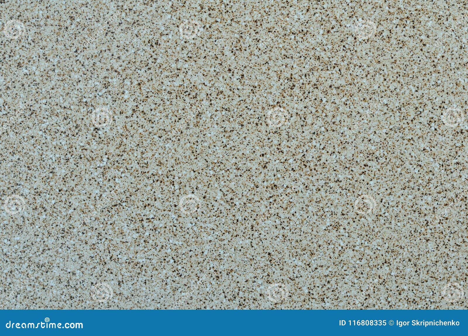 Painted Pattern On The Tile, Texture. Dot Texture Pattern Royalty-Free ...