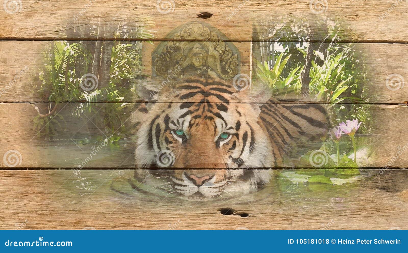 Picture of Tiger on Old Wood Stock Photo - Image of wild, portrait ...