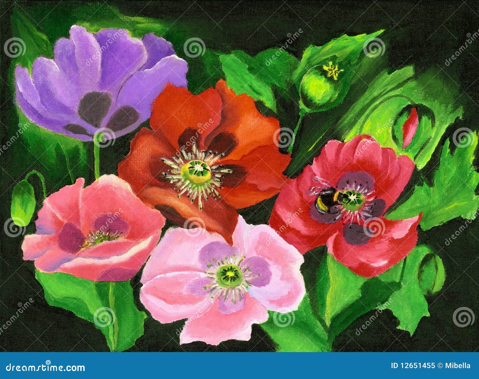 Painted Poppies stock illustration. Illustration of bouquet - 12651455