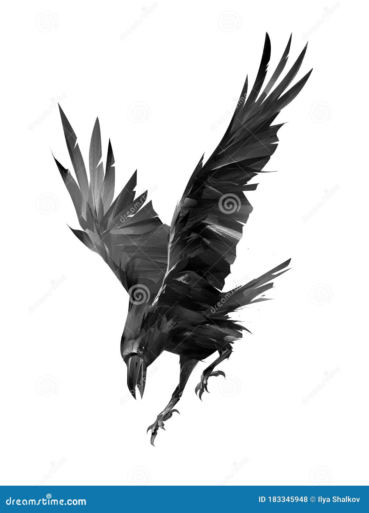 Painted Raven Attacking Bird on a White Background Stock Illustration ...