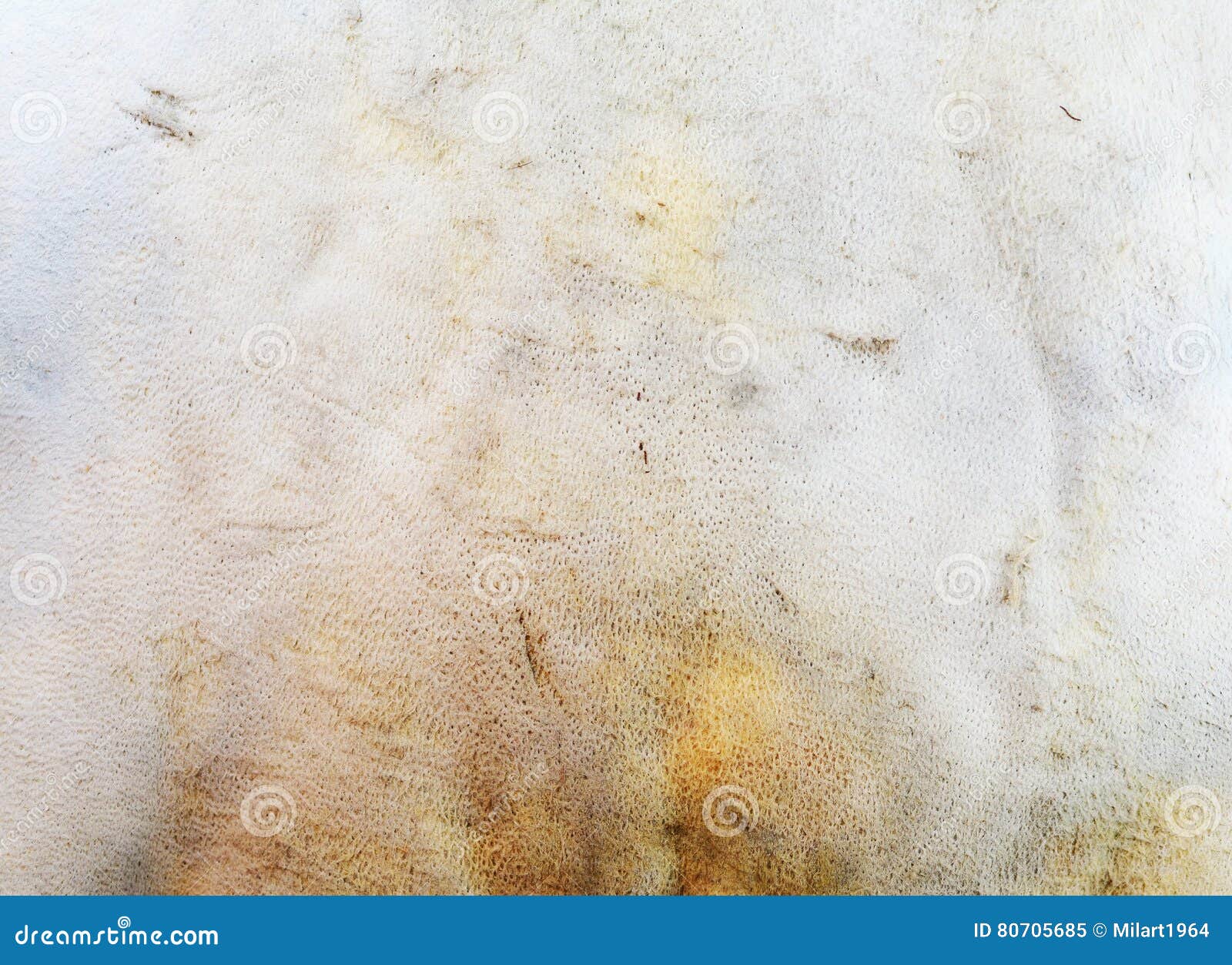 Painted Raw Rough Leather.. Stock Image - Image of rough, quality: 80705685