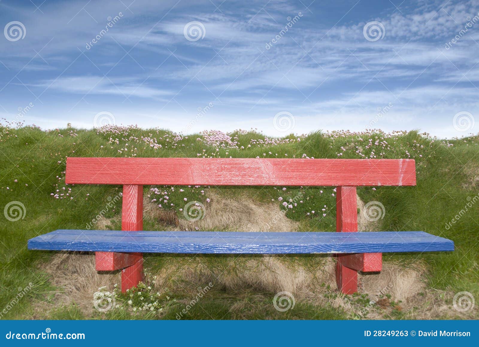 Painted red and blue bench stock image. Image of golden - 28249263