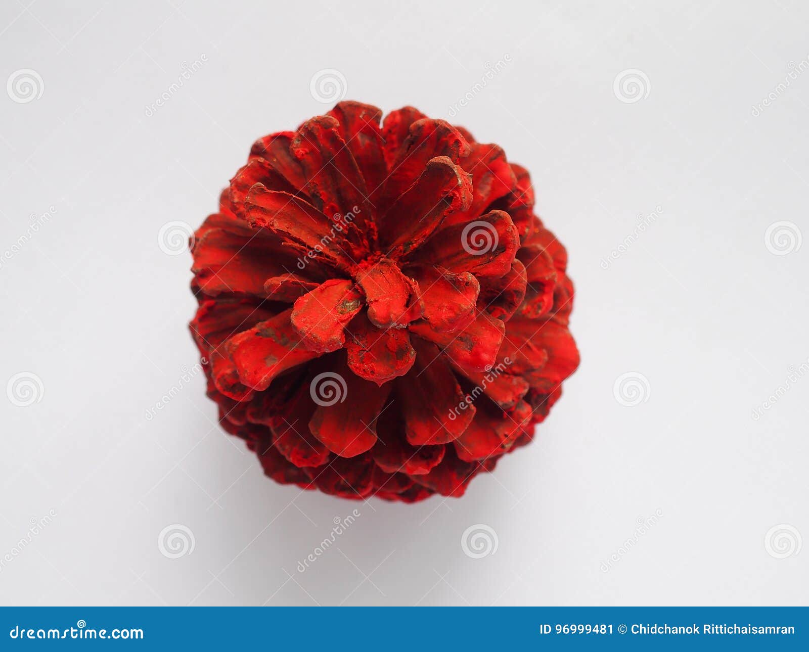 Painted Red Color Pine Cone Stock Image - Image of plant, decorate ...