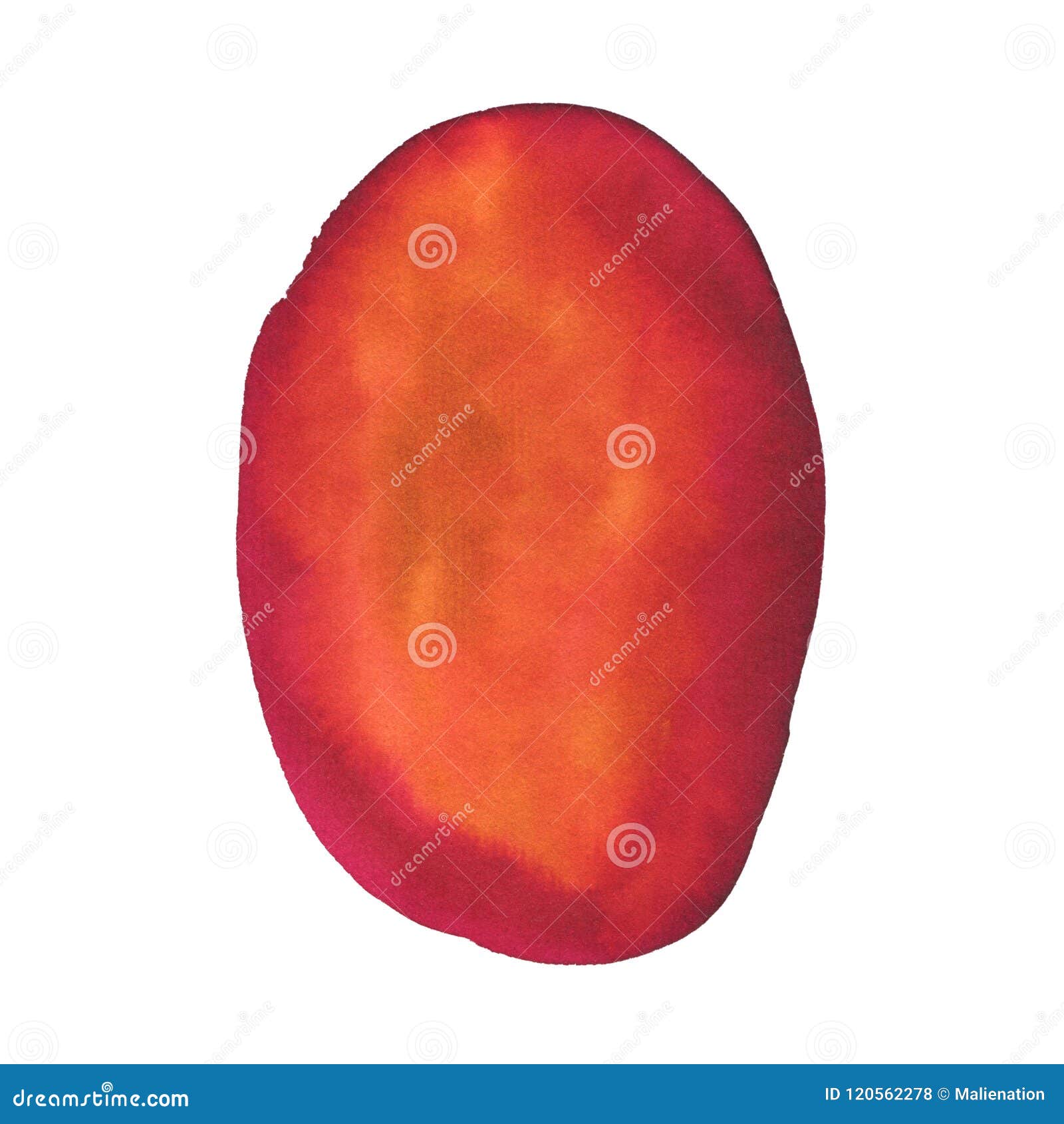 Painted Red Stain. Watercolor Printable Texture. Stock Illustration ...