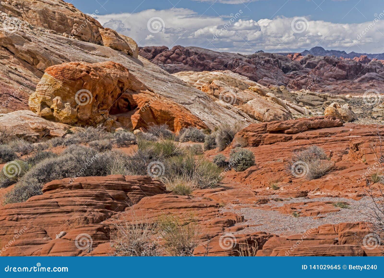 Painted Rock Formations in the Valley of Fire State Park. Stock Image ...