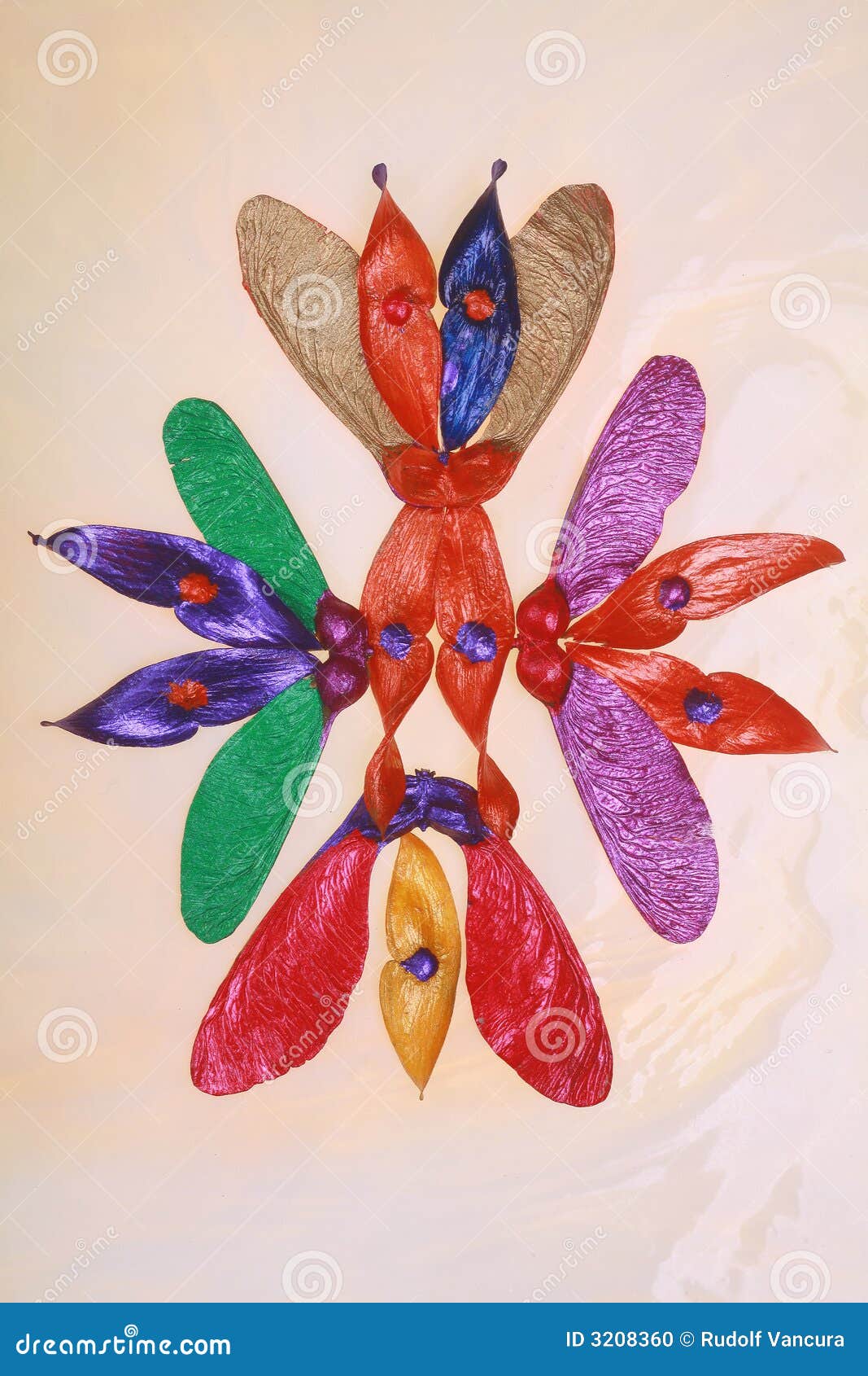 Painted Seeds in Arrangement Stock Photo - Image of colors, artsy: 3208360
