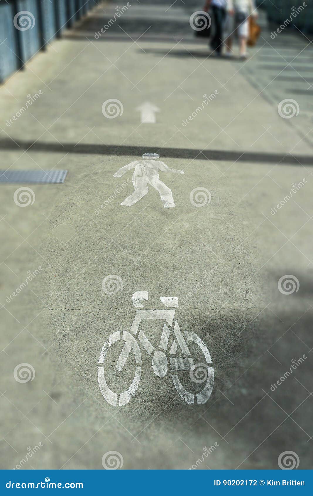 Painted Signage Indicating a Shared Cyclist and Pedestrian Walkway ...