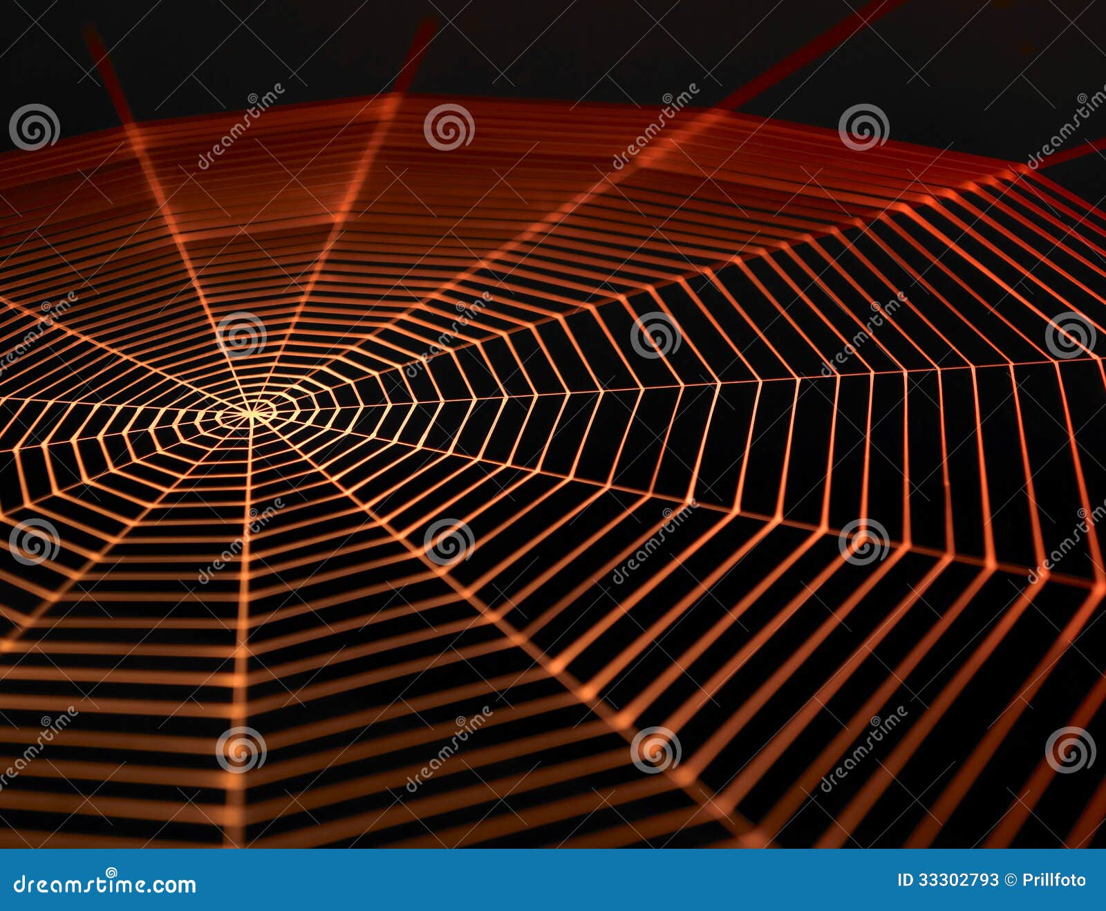 Painted spiderweb stock image. Image of filigree, isolated - 33302793