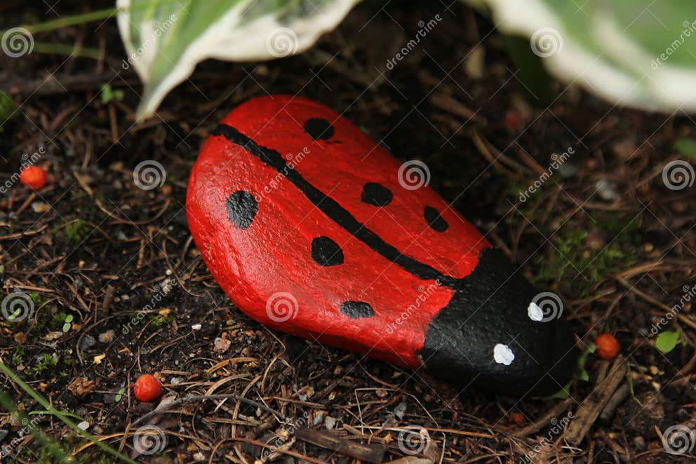 Painted stone ladybug stock image. Image of nature, painted - 288538769