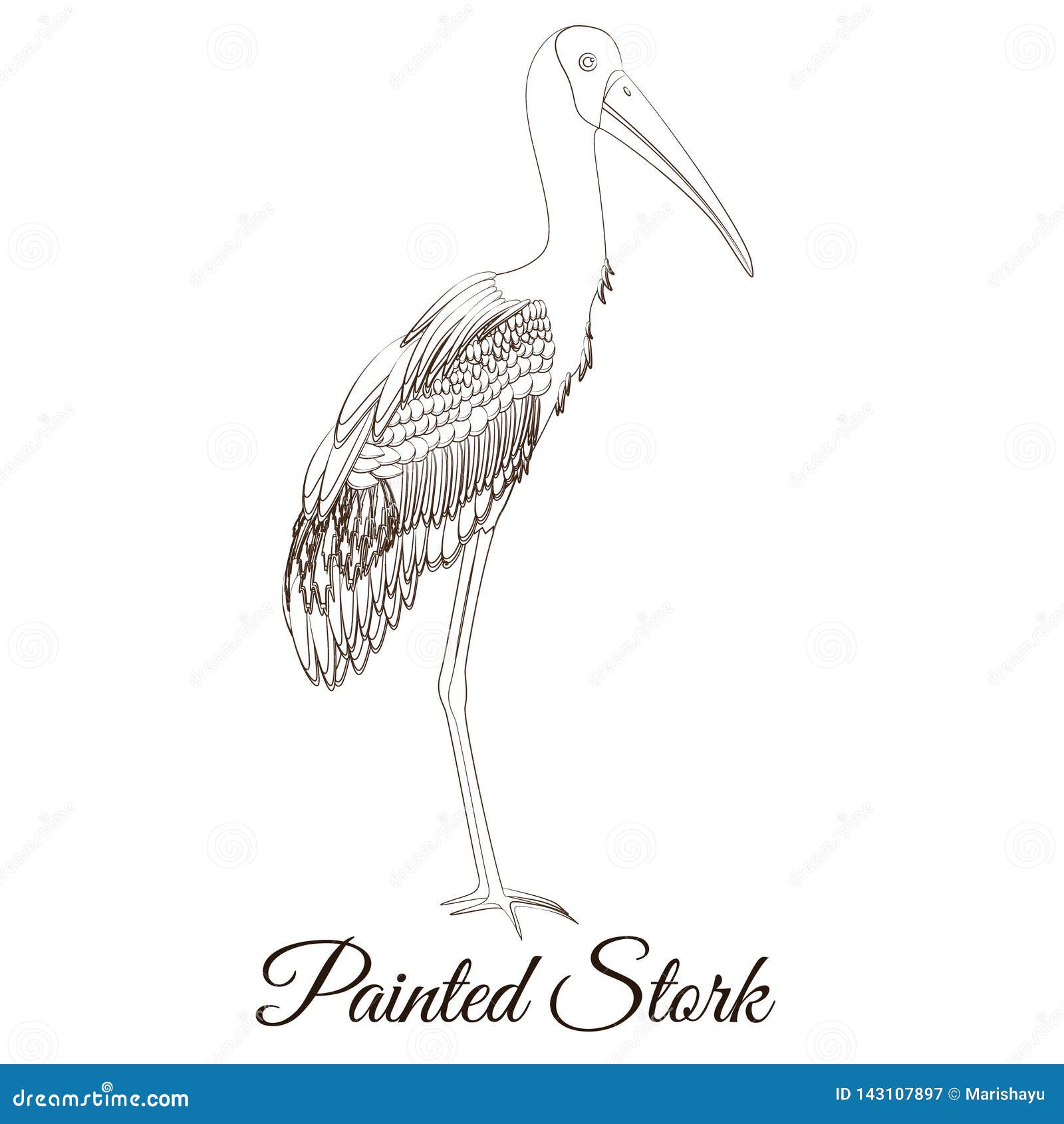 Painted Stork Cartoon Bird Coloring Stock Vector - Illustration of beak ...