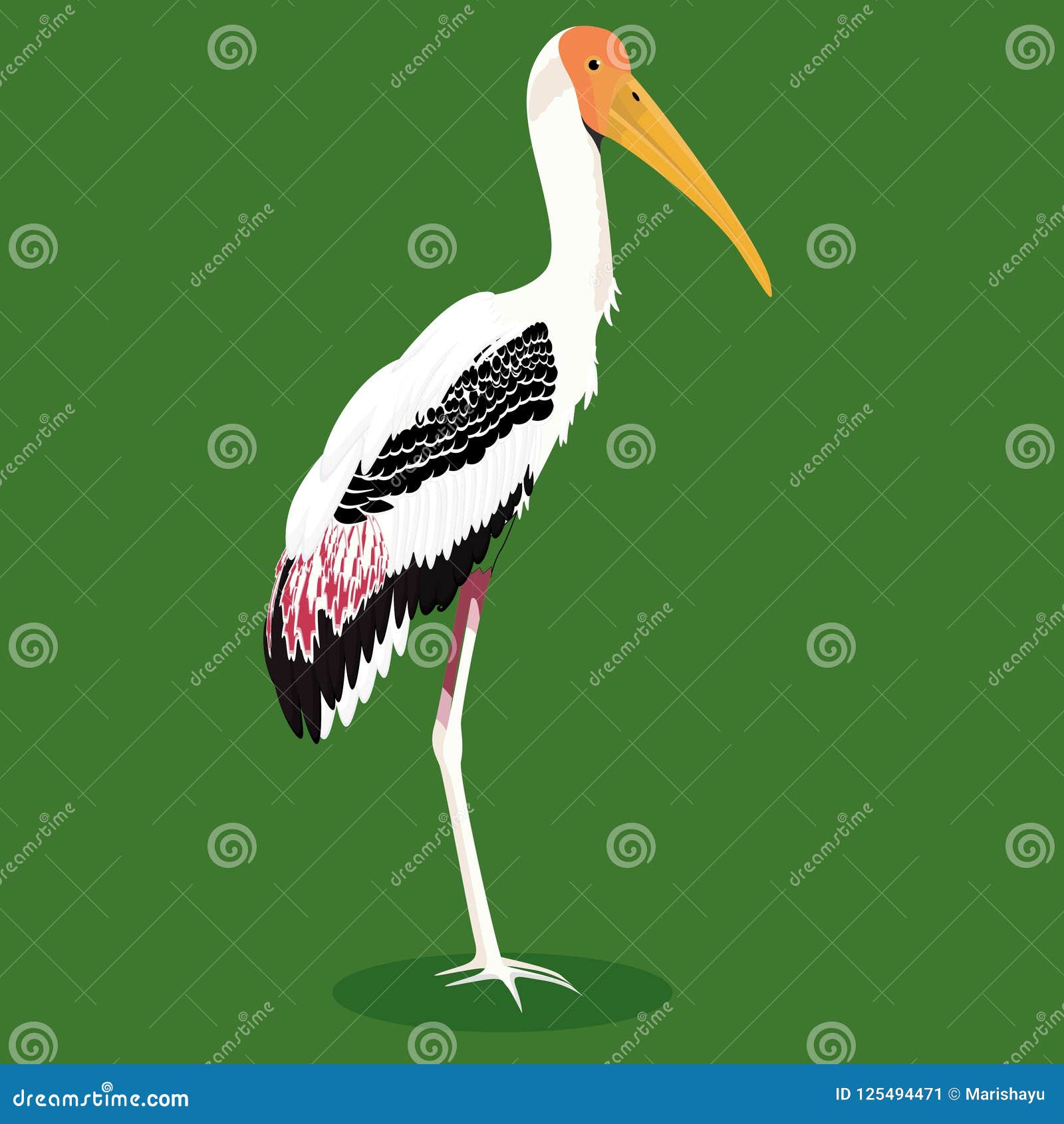 Painted stork cartoon bird stock vector. Illustration of pink - 125494471