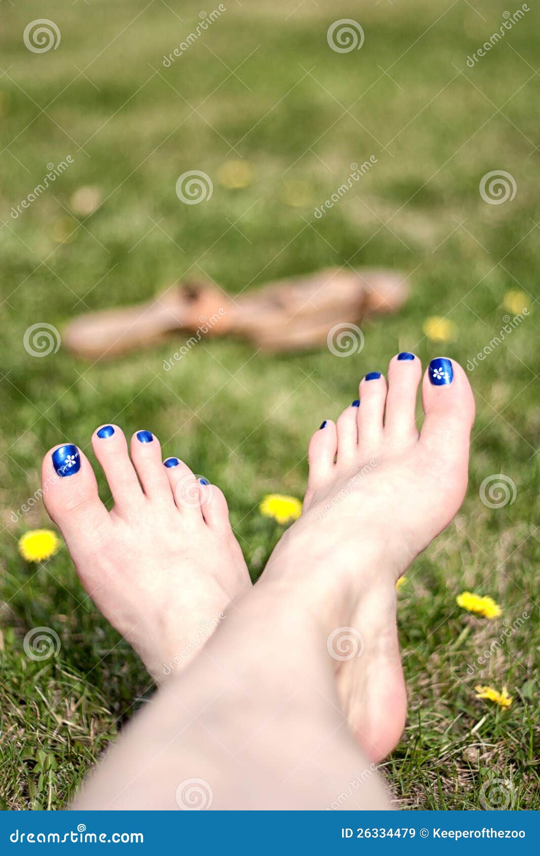 Painted Toes in the Grass stock image. Image of tourism - 26334479