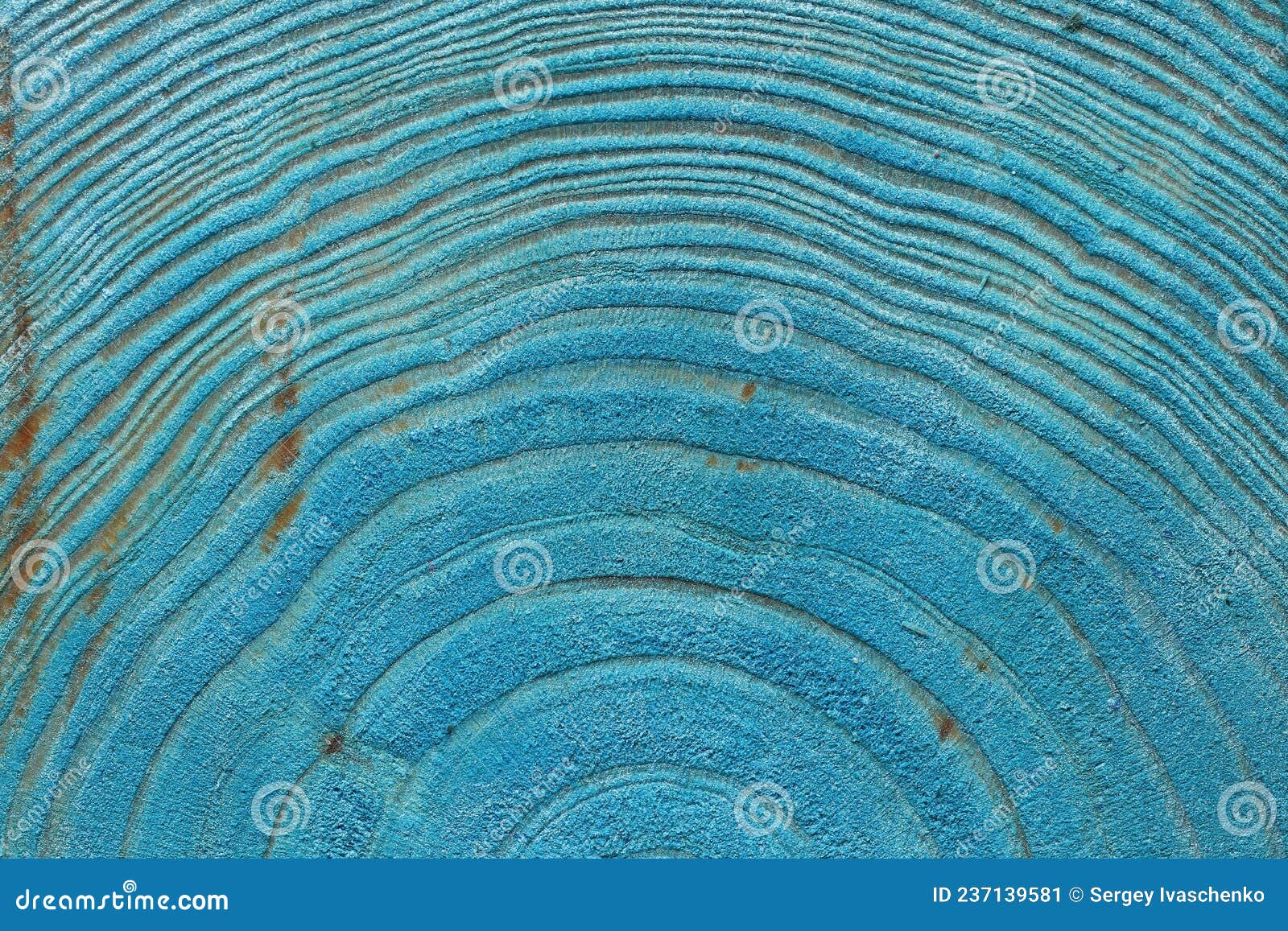 Painted tree. stock image. Image of grain, hardwood - 237139581