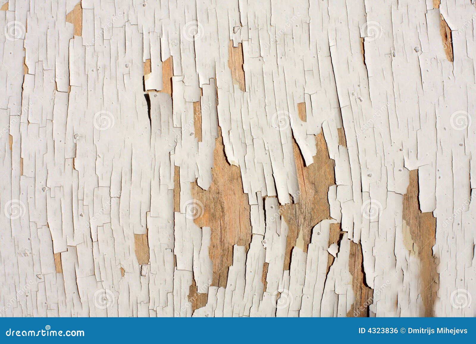 Painted wood stock photo. Image of abstract, grunge, peel - 4323836