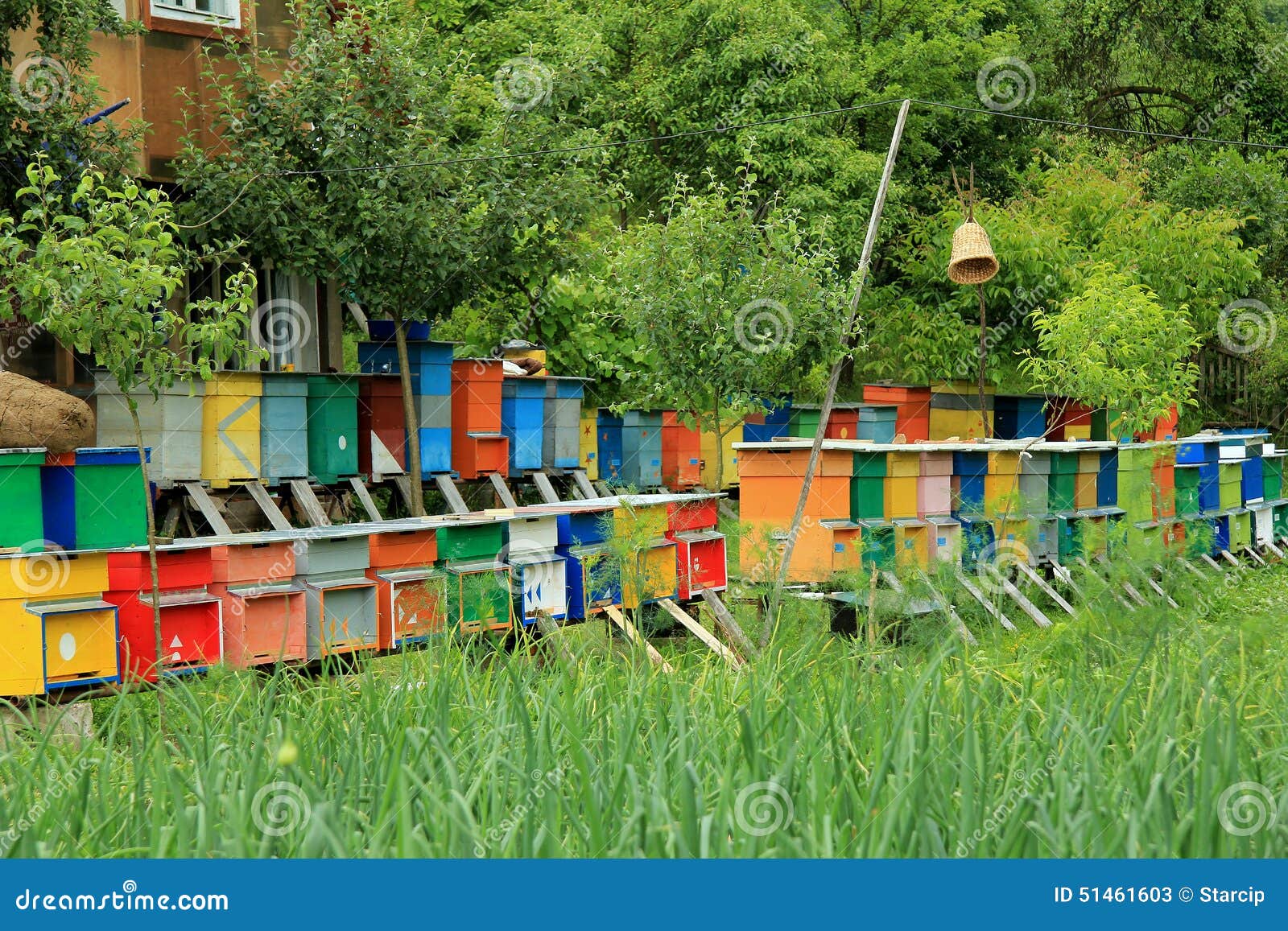 Painted wooden beehives stock image. Image of atmosphere - 51461603