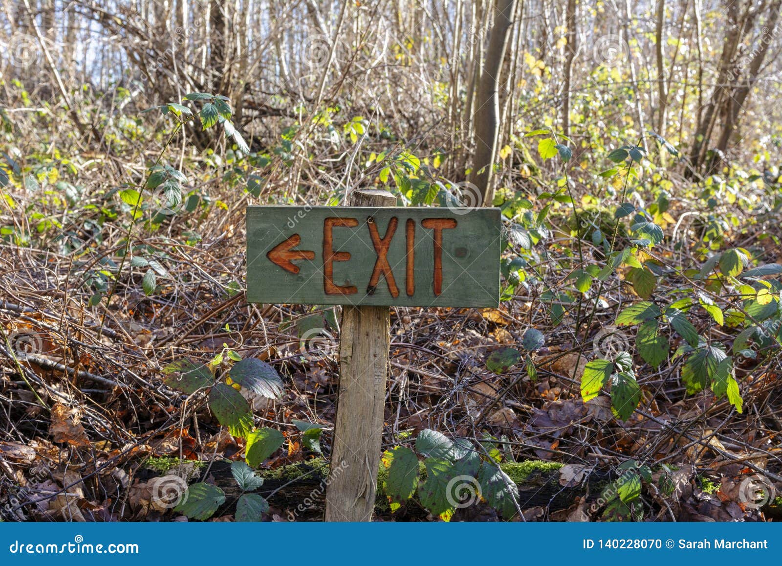 Painted Wooden Exit Sign Points Left in Woodland Stock Photo - Image of ...