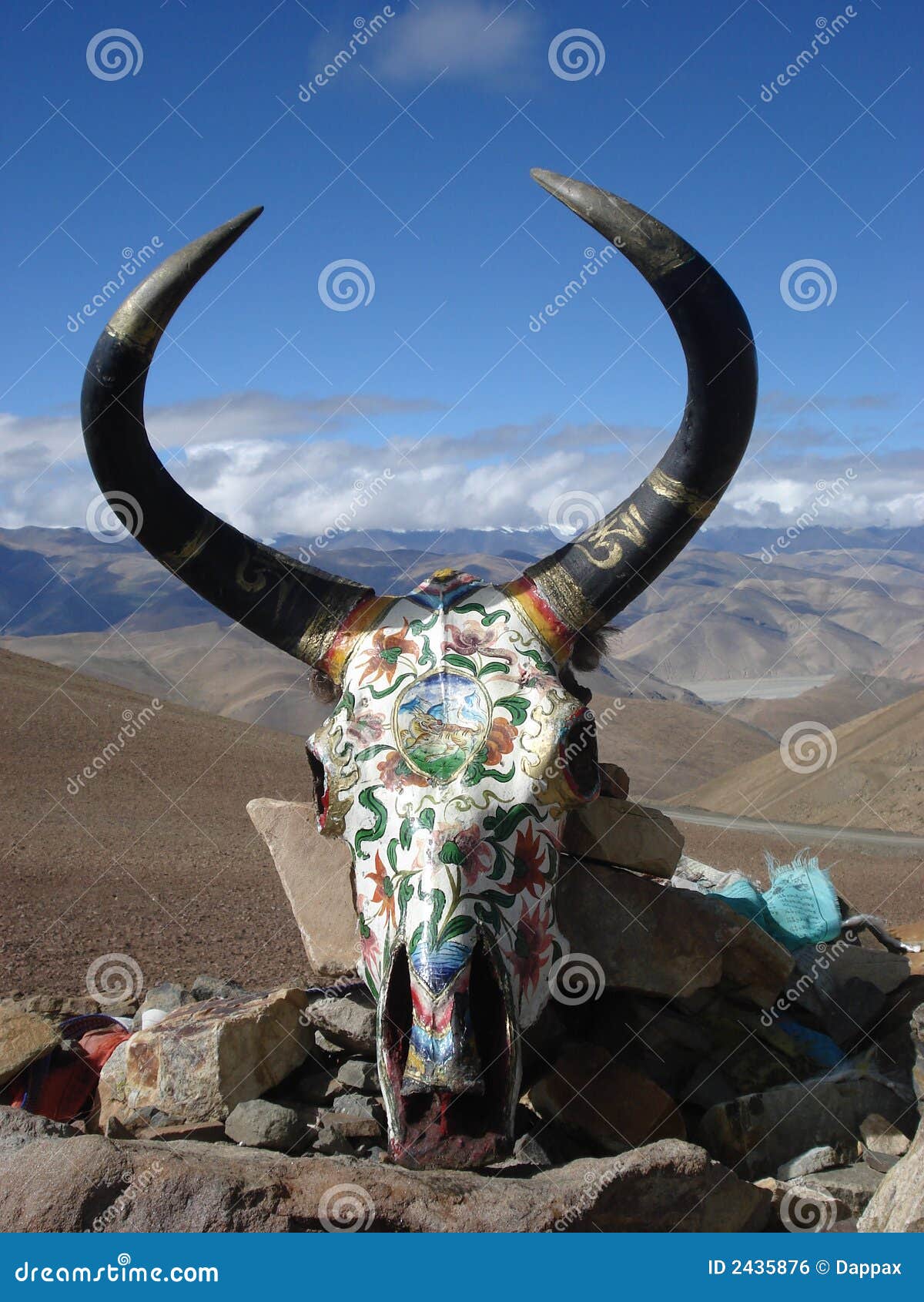 Painted yak head stock photo. Image of everest, china - 2435876