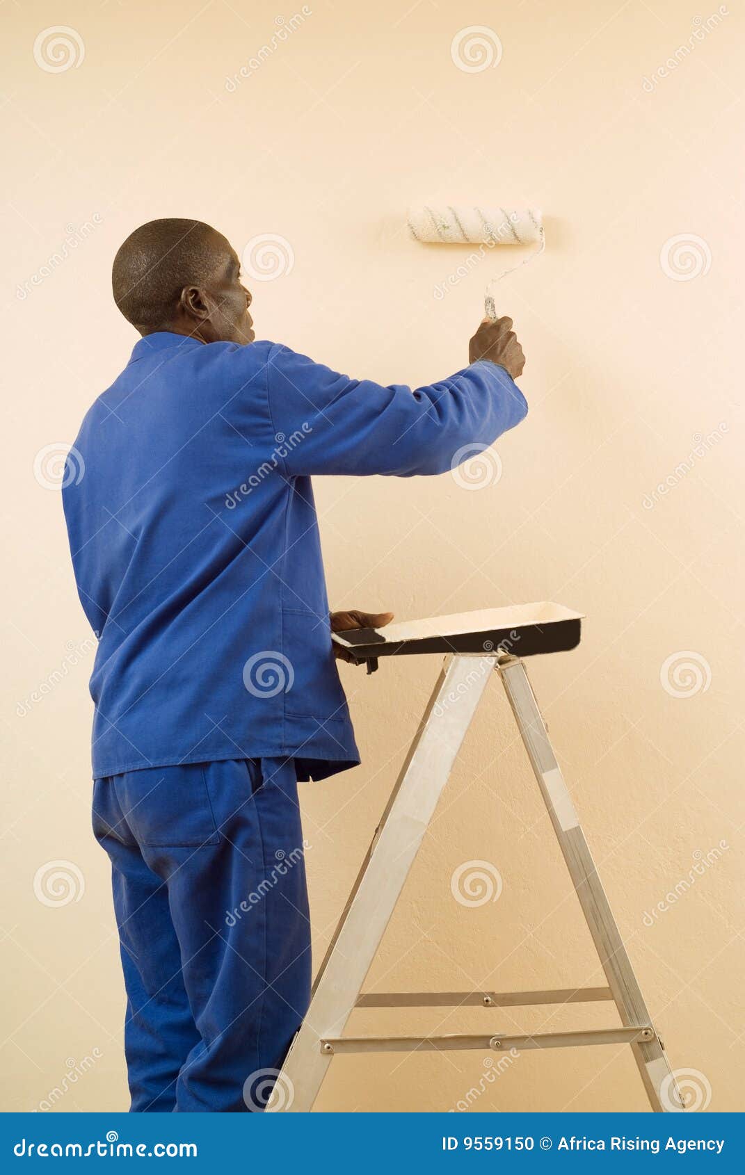 Painter Using a Paint Roller Stock Photo - Image of renovations, home ...