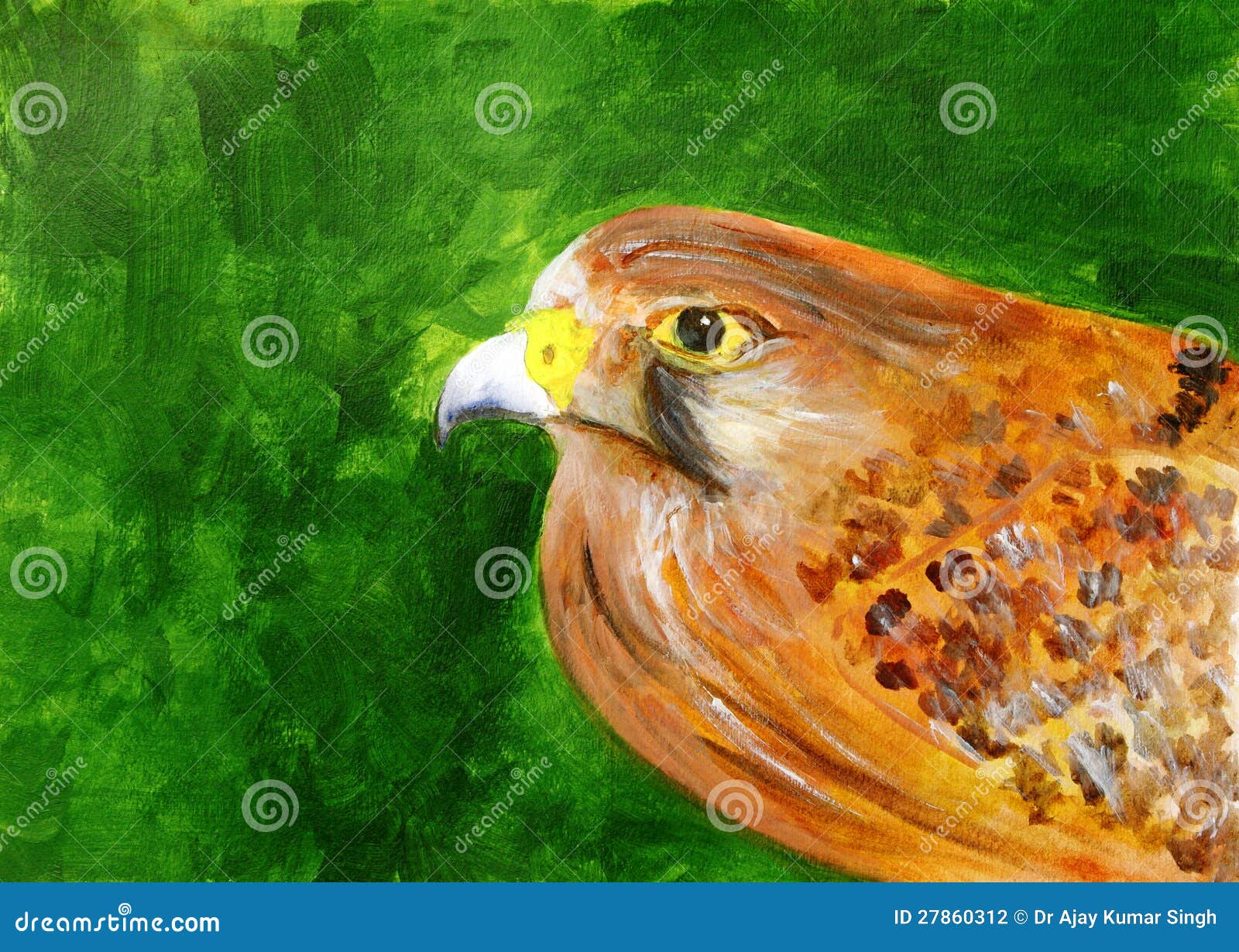 Painting of a Beautiful Falcon Stock Illustration - Illustration of ...