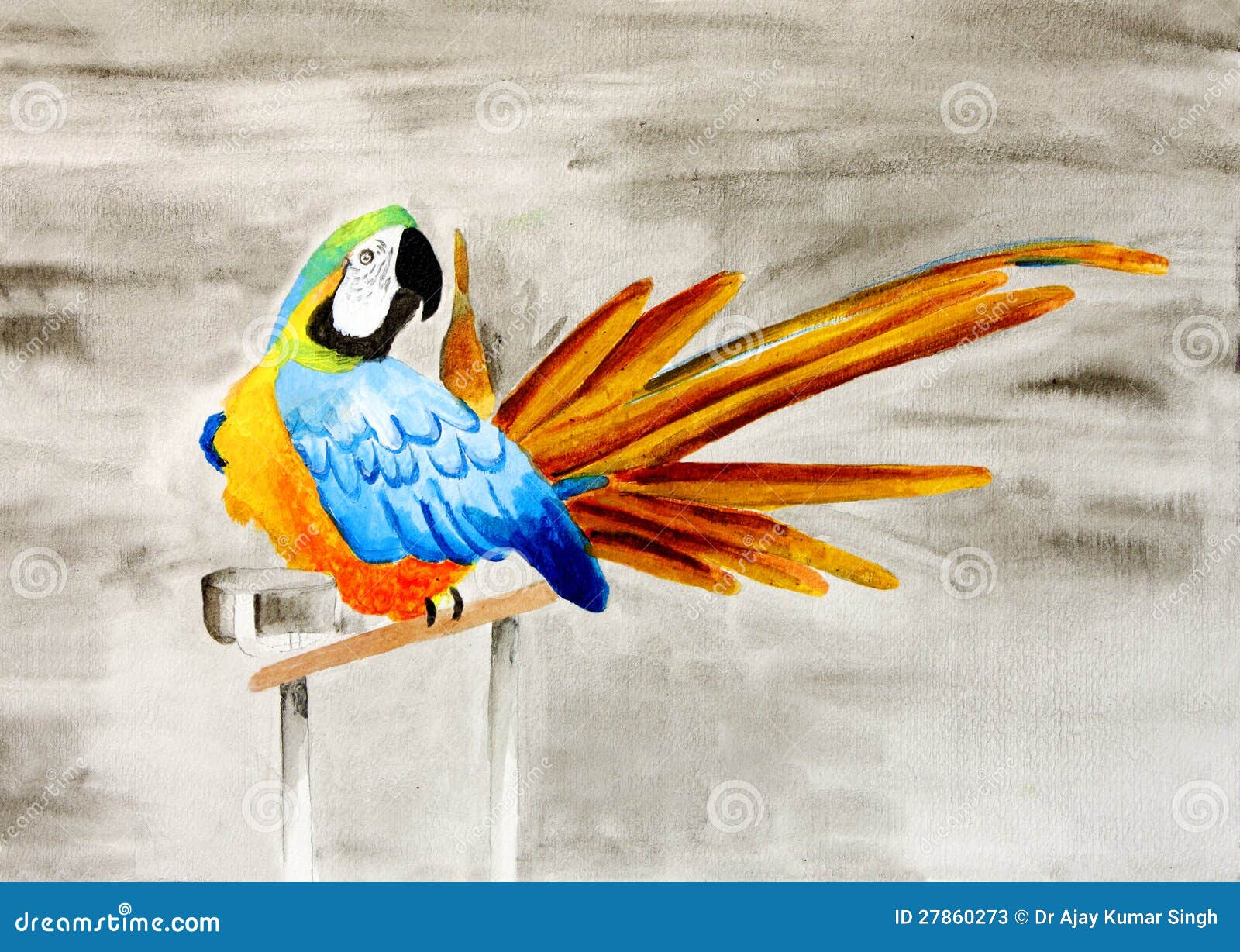 Painting of a Beautiful Parrot Stock Illustration - Illustration of ...