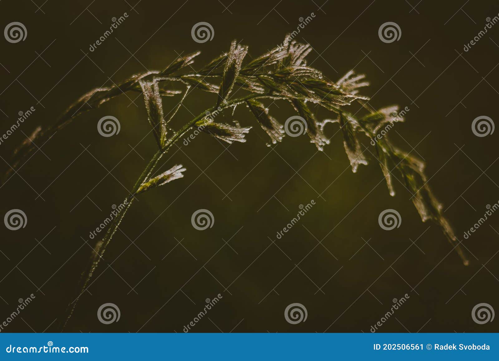 Lady In Winter Night City Blurred Background Stock Photo ...