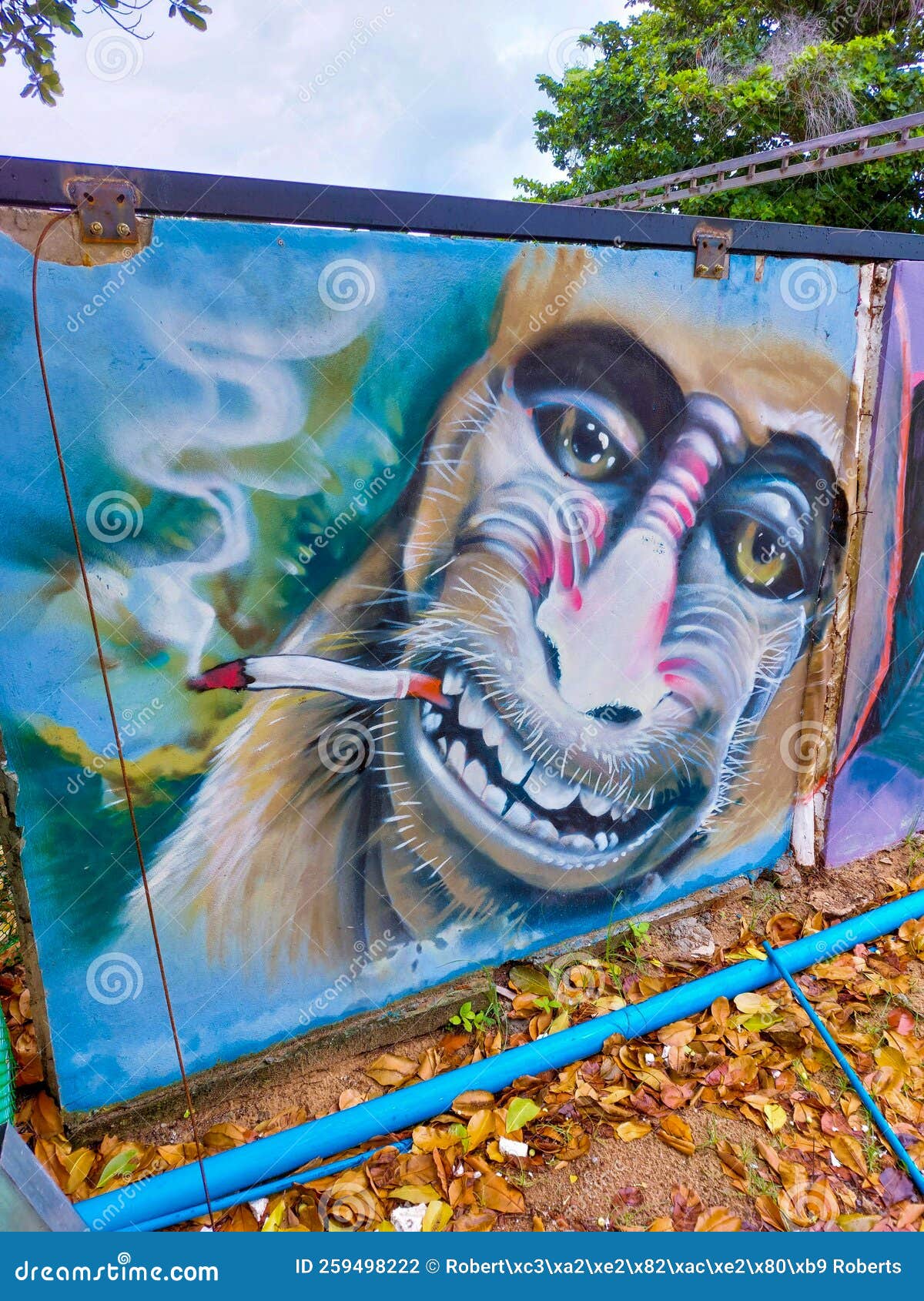 Painting, Monkey, art editorial photography. Image of person - 259498222