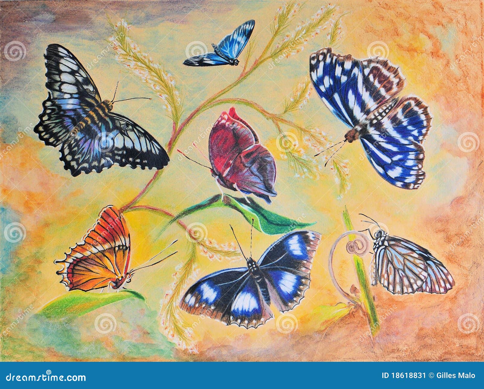 Painting Of Seven Butterflies Stock Illustration - Illustration of ...