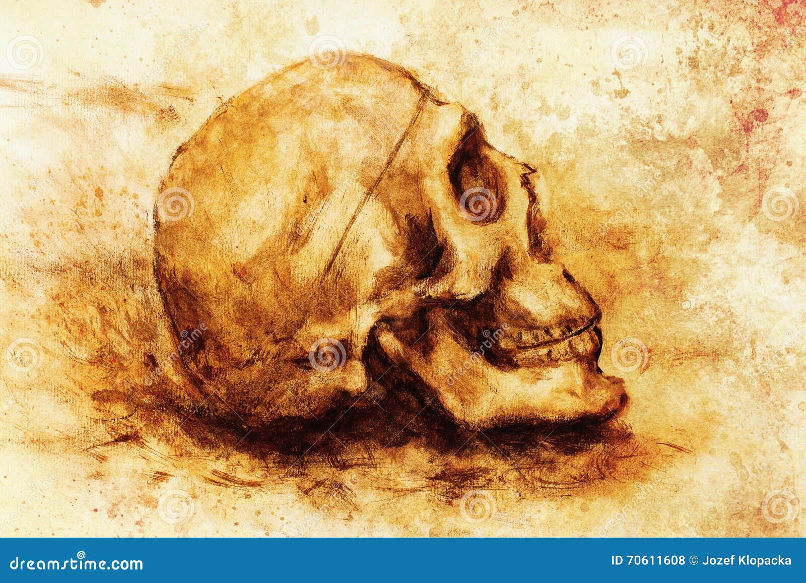 Painting Skull on Paper and Sepia Background. Stock Illustration ...
