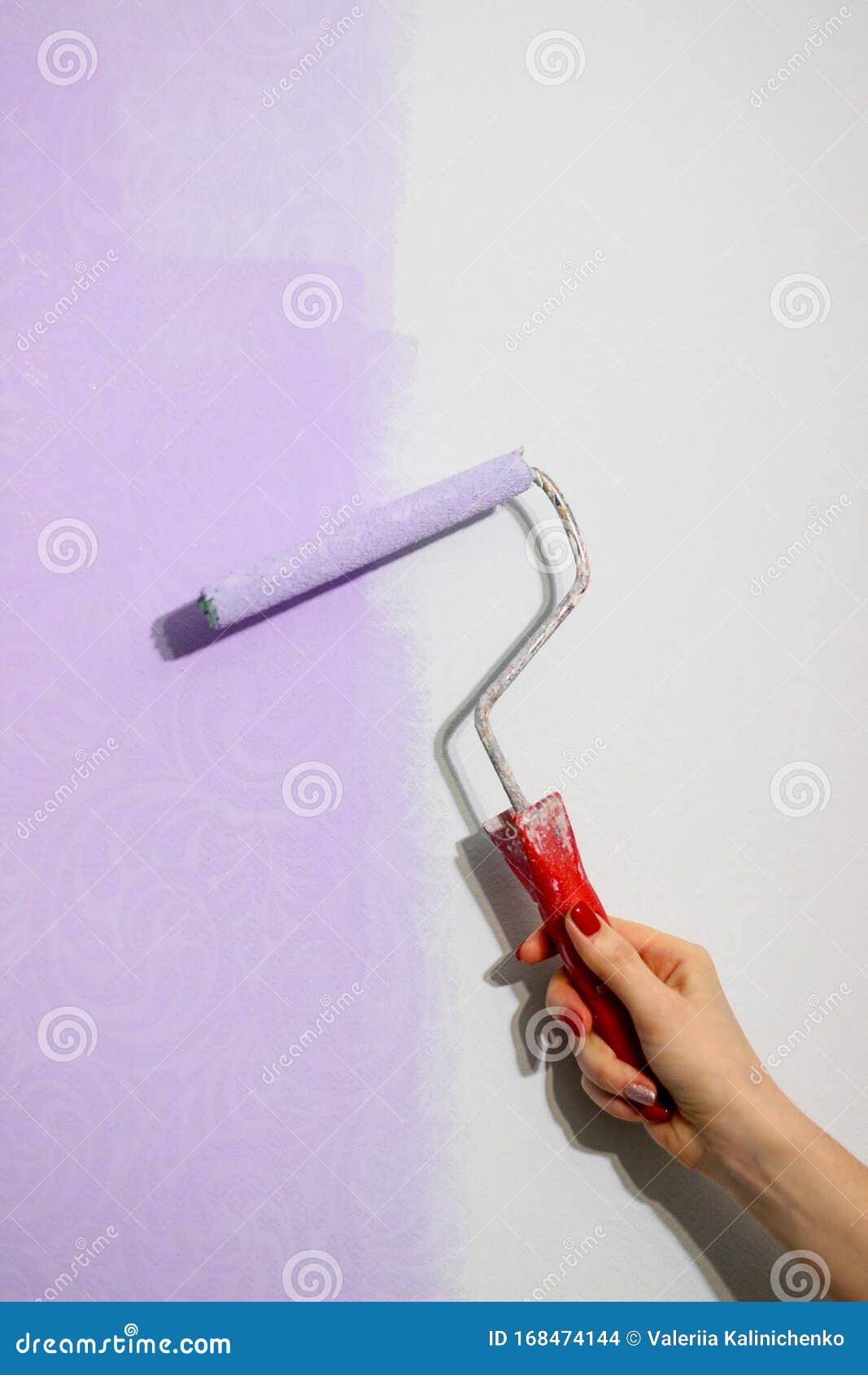 Painting a White Wall with Light Violet Tint Roller Stock Photo - Image ...