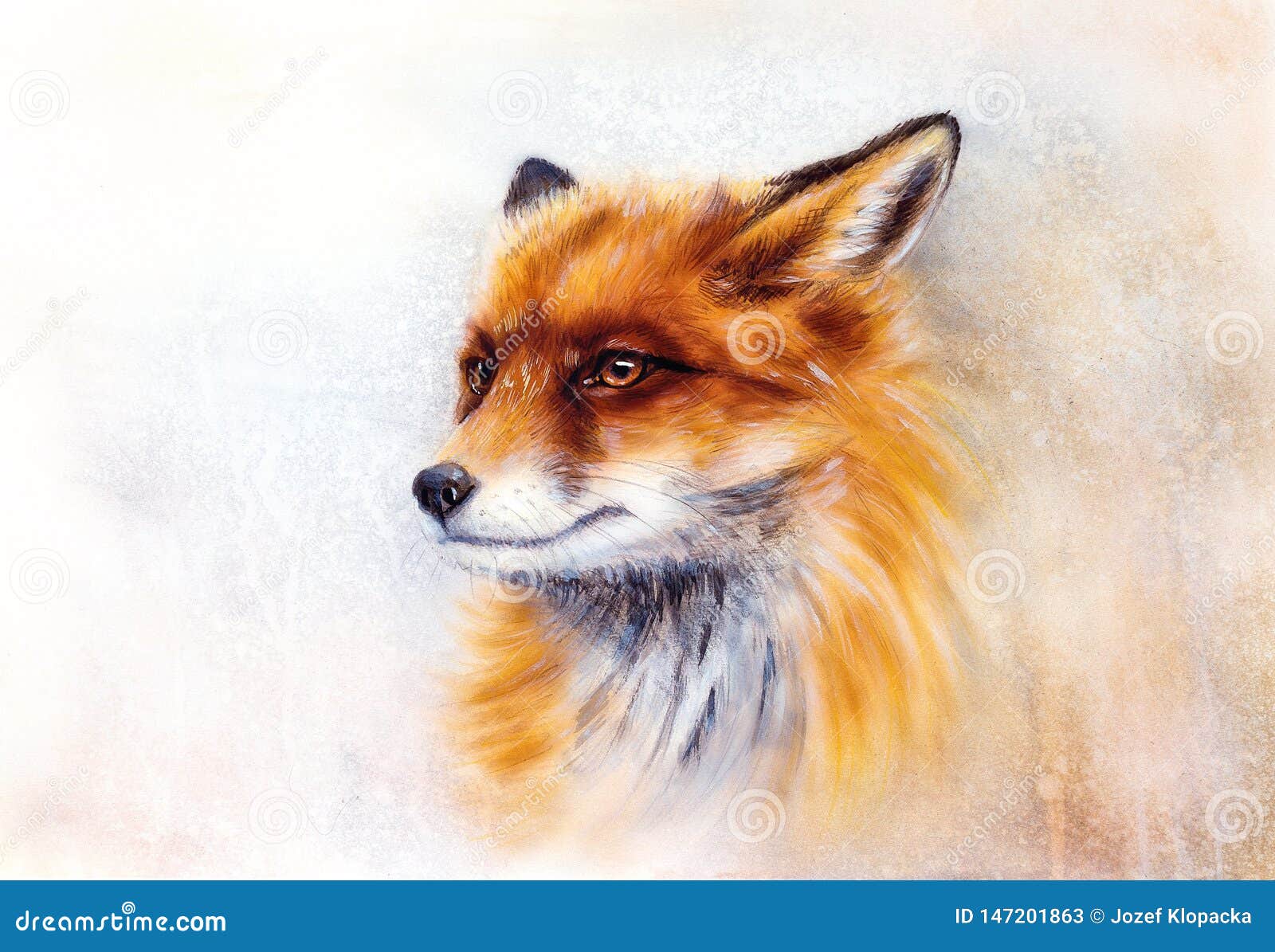 Painting of Wild Fox on Paper. Aquarelle Background. Stock Illustration ...
