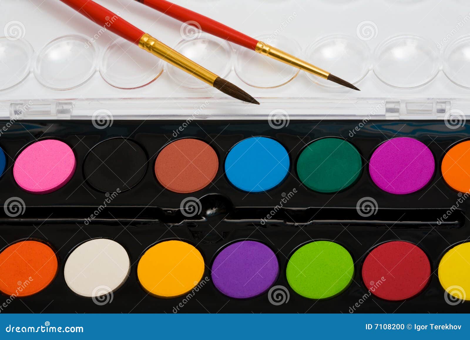 Paints and two brushes stock photo. Image of paintbrush - 7108200