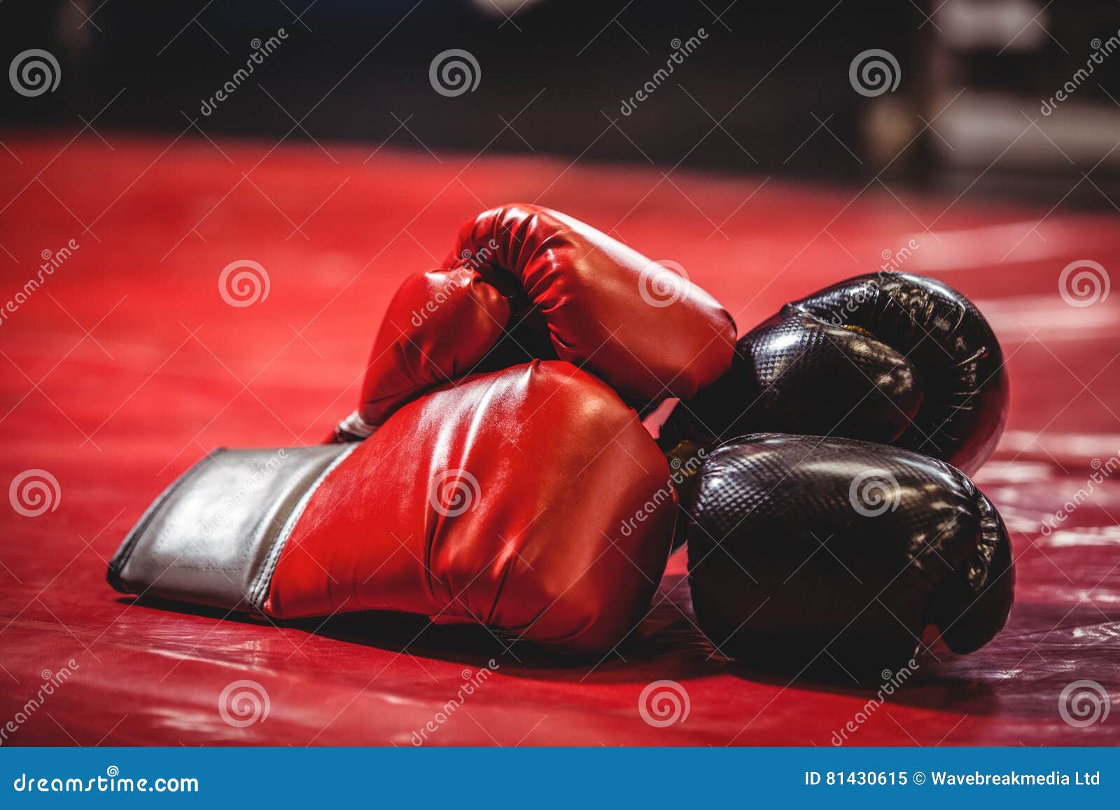 Pair of Black and Red Boxing Gloves Stock Image - Image of boxing ...