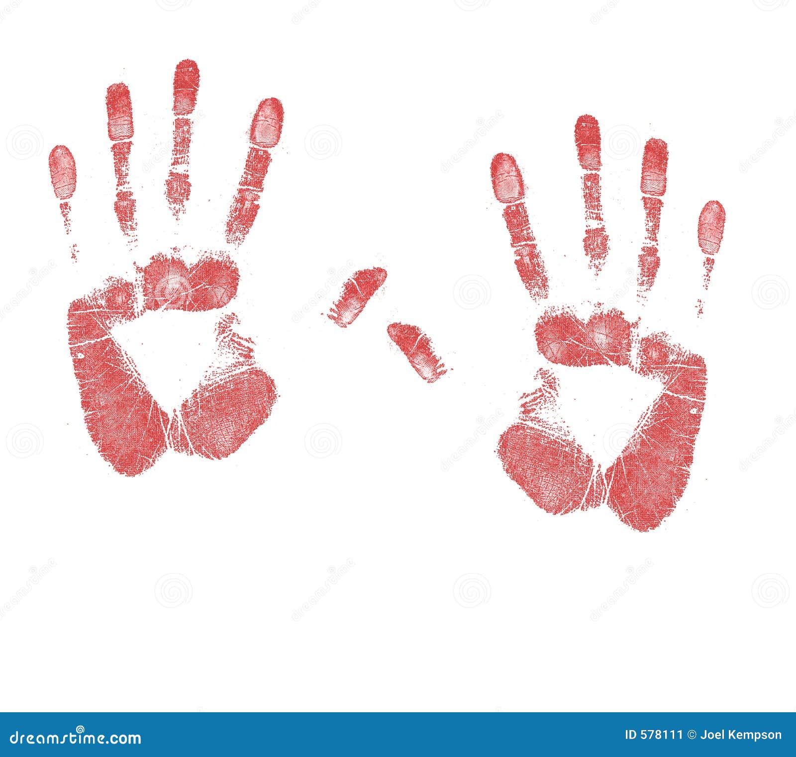 A Pair Of Paw Prints Vector Illustration | CartoonDealer.com #7982400