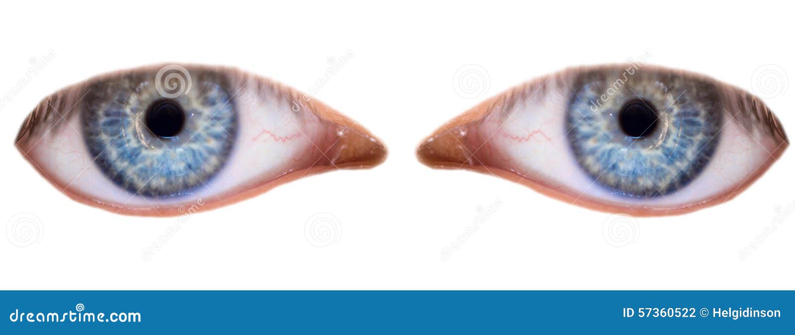 Pair of blue eyes stock photo. Image of eyes, fresh, glamour - 57360522