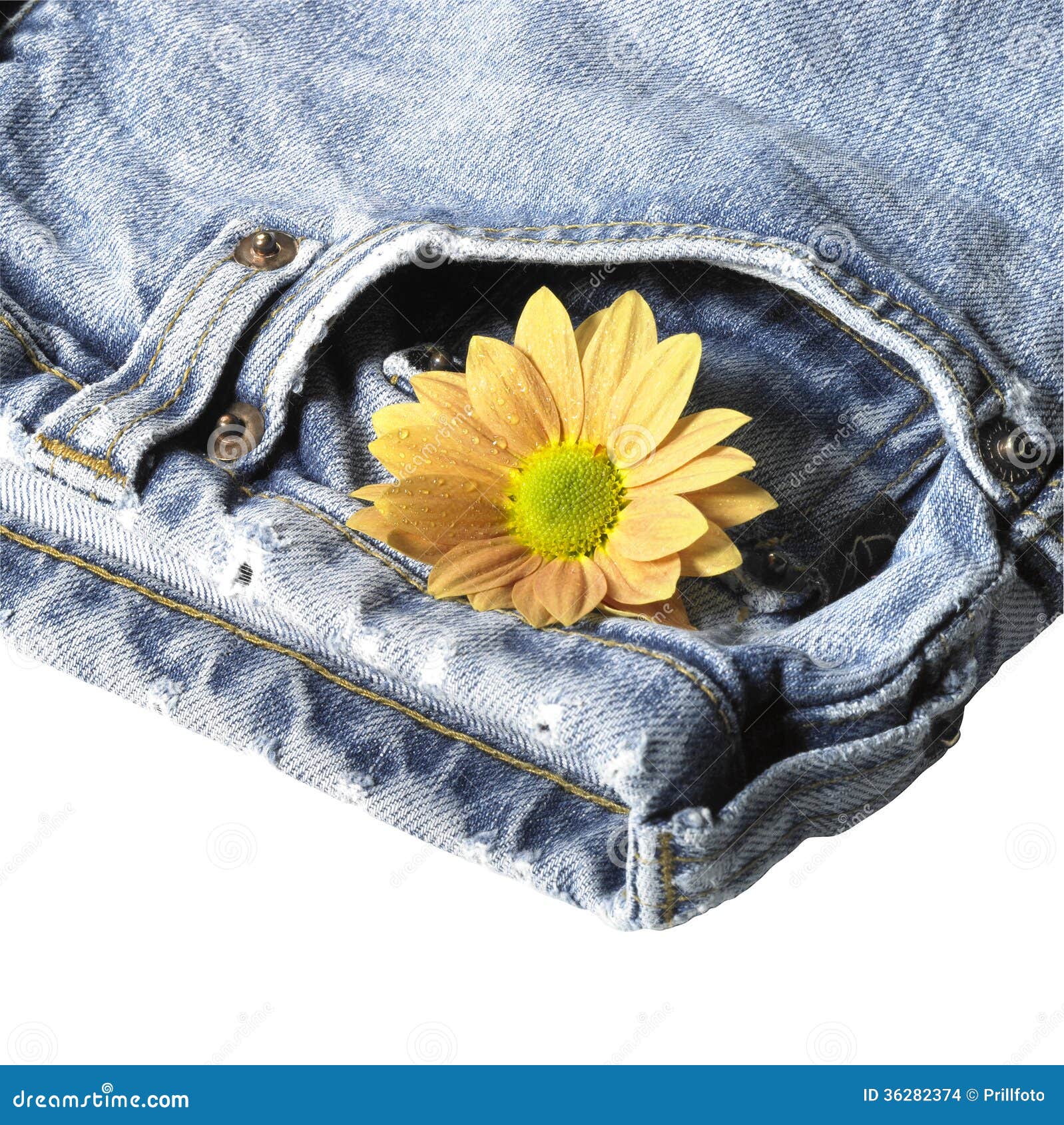 Pair of Blue Jeans and Flower Stock Photo - Image of jeans, blue: 36282374