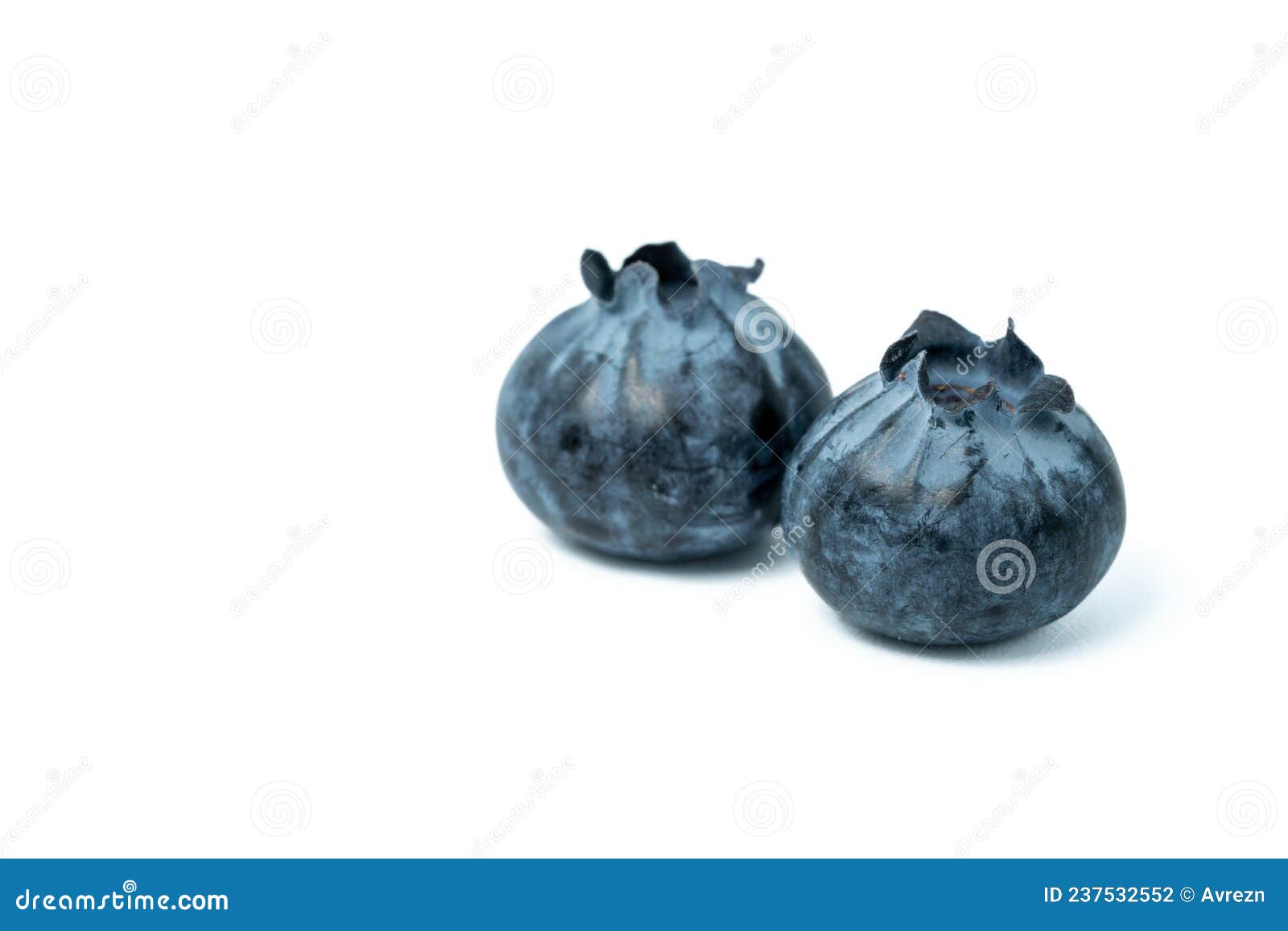 Pair of Blueberry Berry One Isolated on White Background, Side View ...