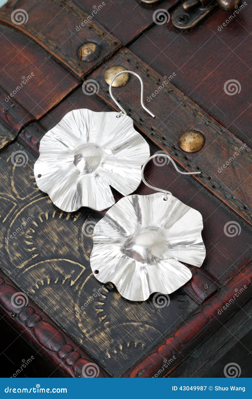 Pair of chinese earrings stock image. Image of glamour - 43049987