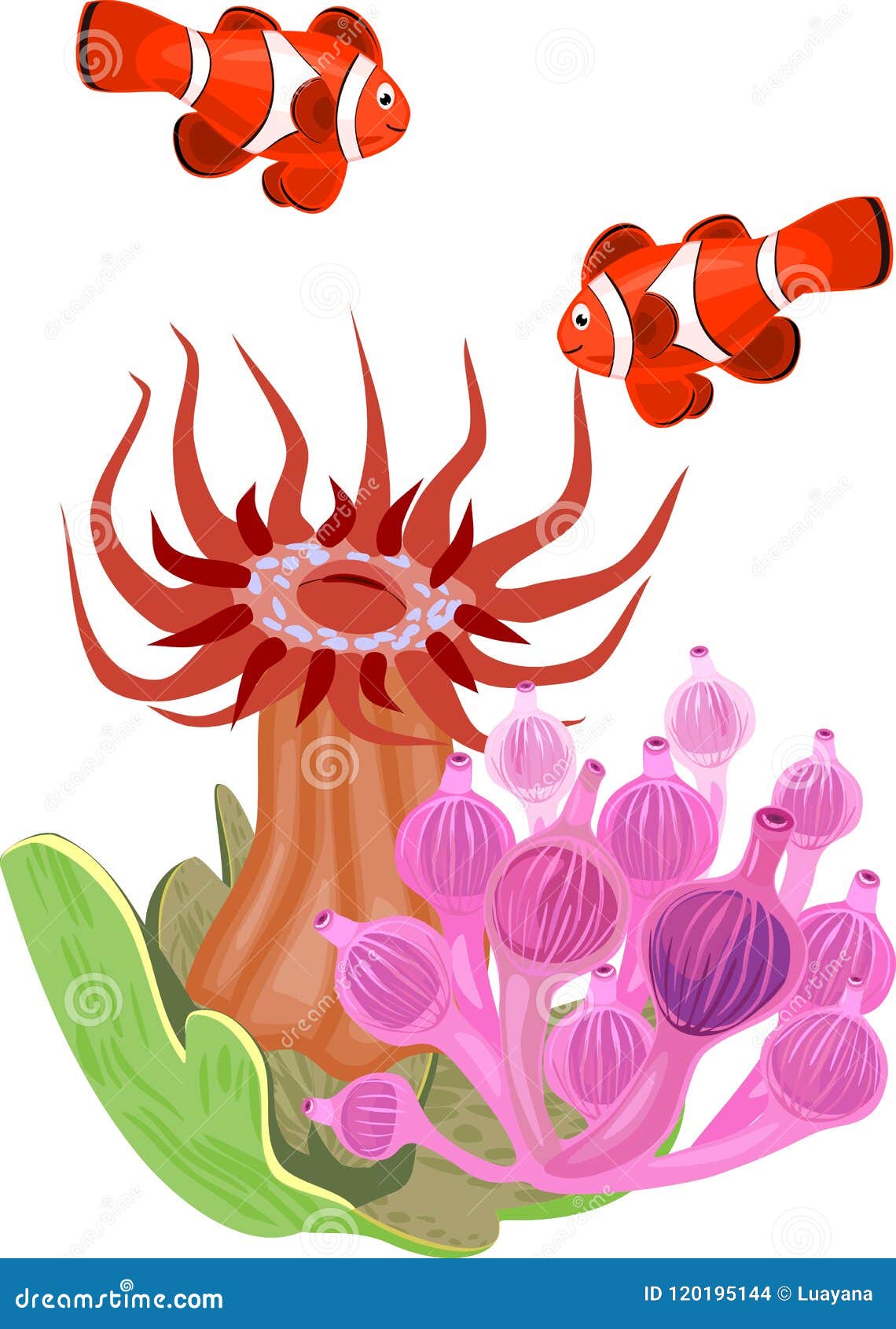Clownfish And Anemone Icon In Cartoon Style Isolated On White ...