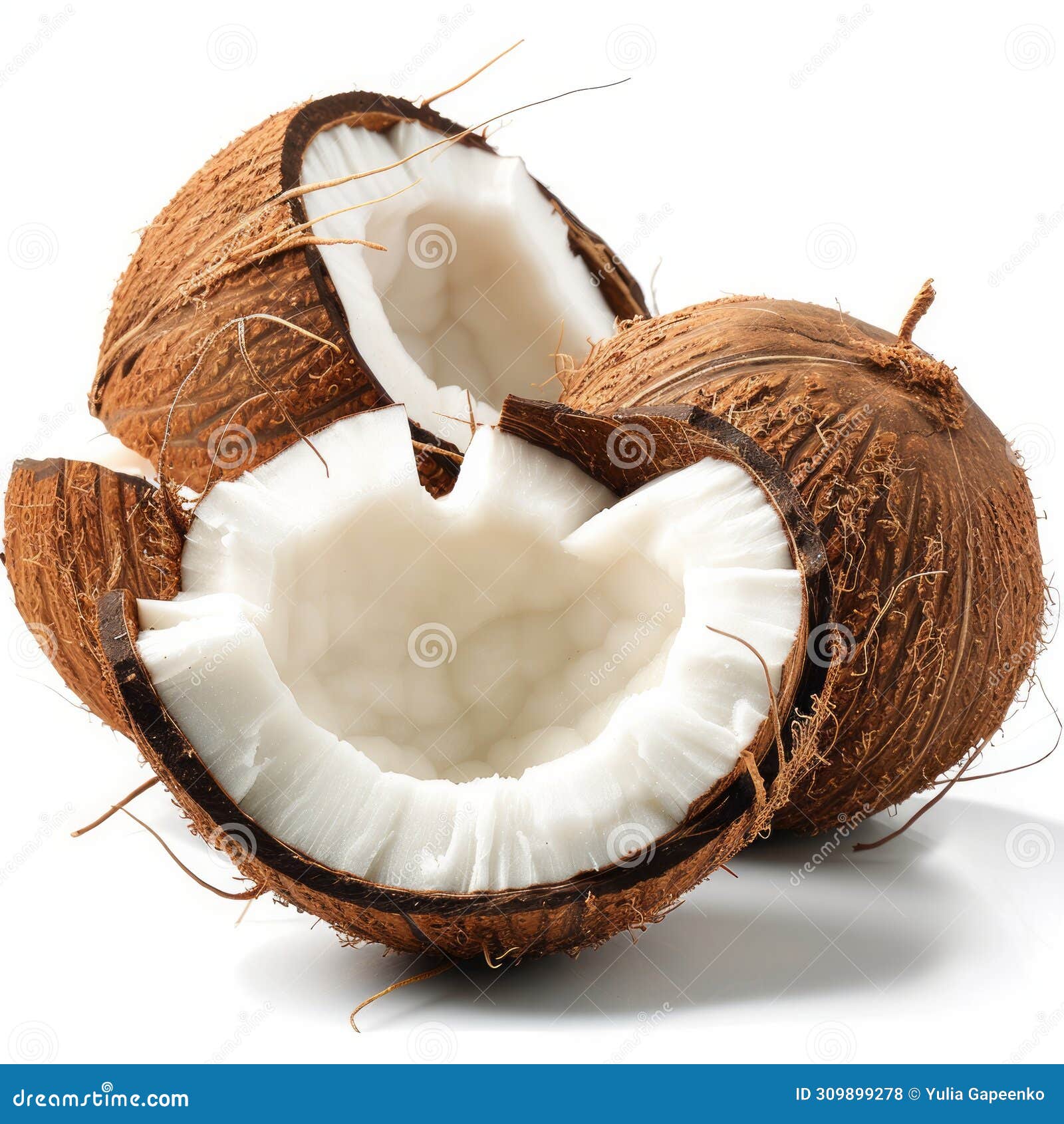 Two Coconuts Sitting Together Stock Photo - Image of snack, fresh ...